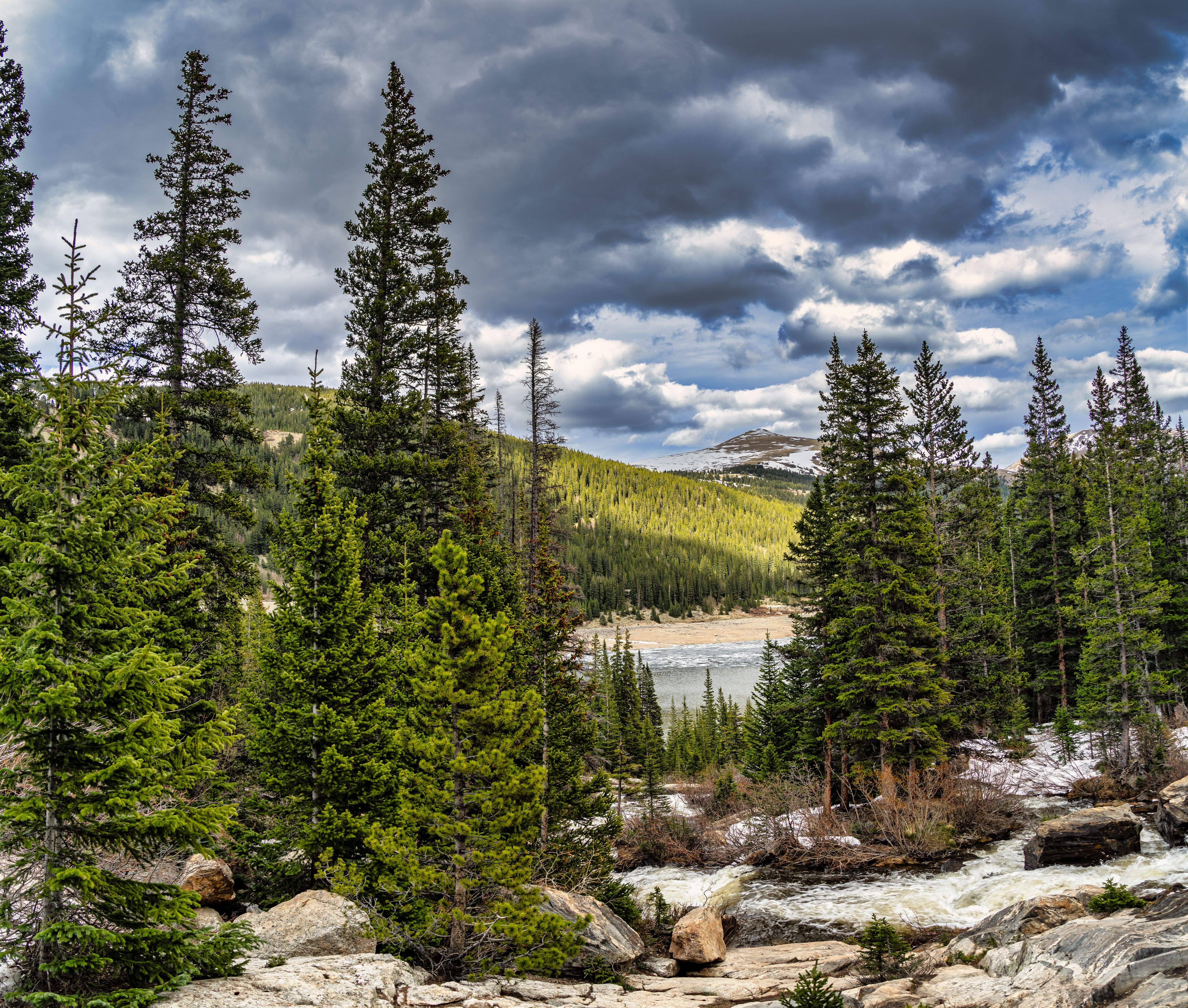 Serene Colorado Mountain Landscape with Trees · Free Stock Photo