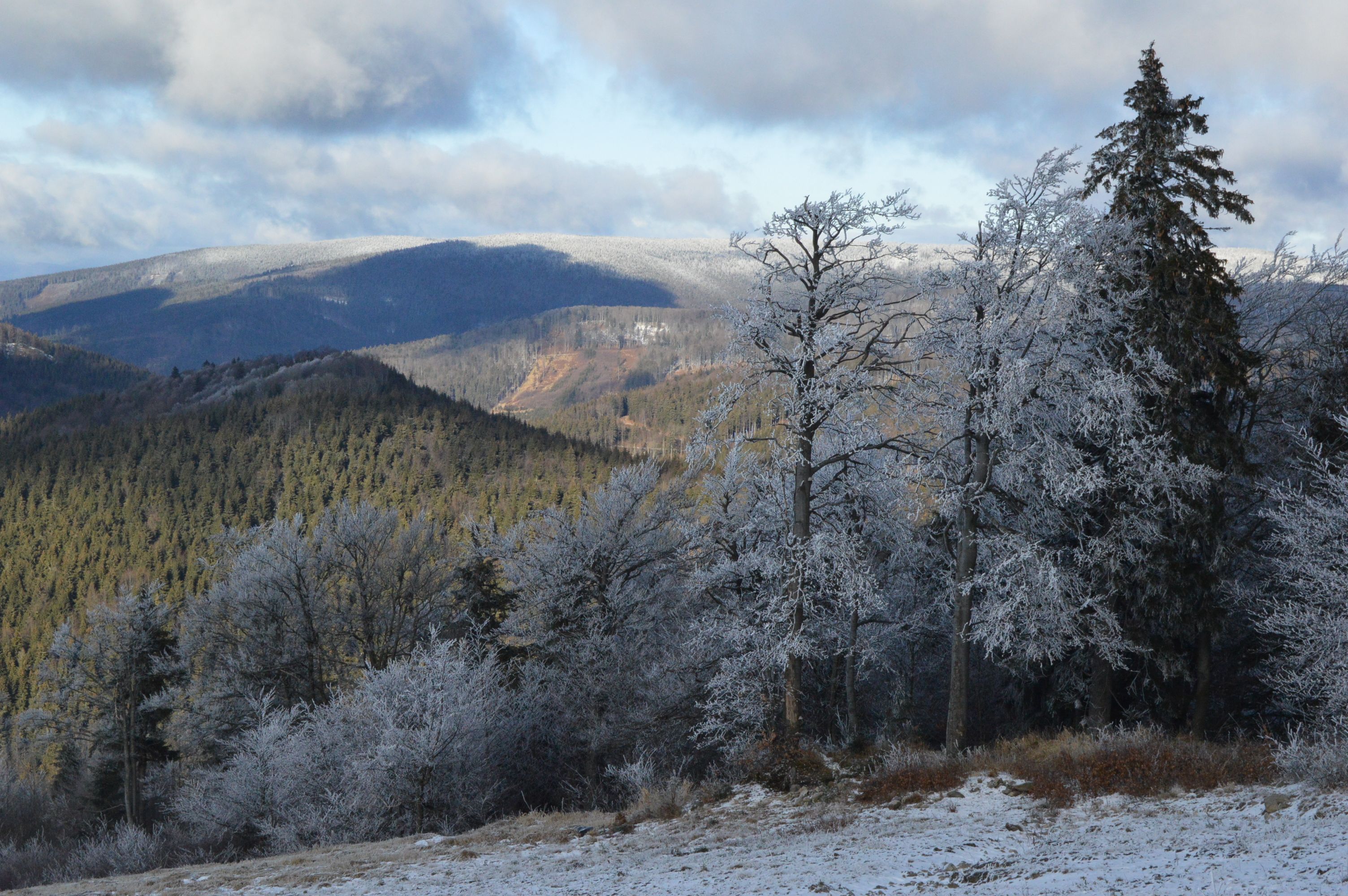Winter Landscape in Kremnica, Slovakia Forests · Free Stock Photo