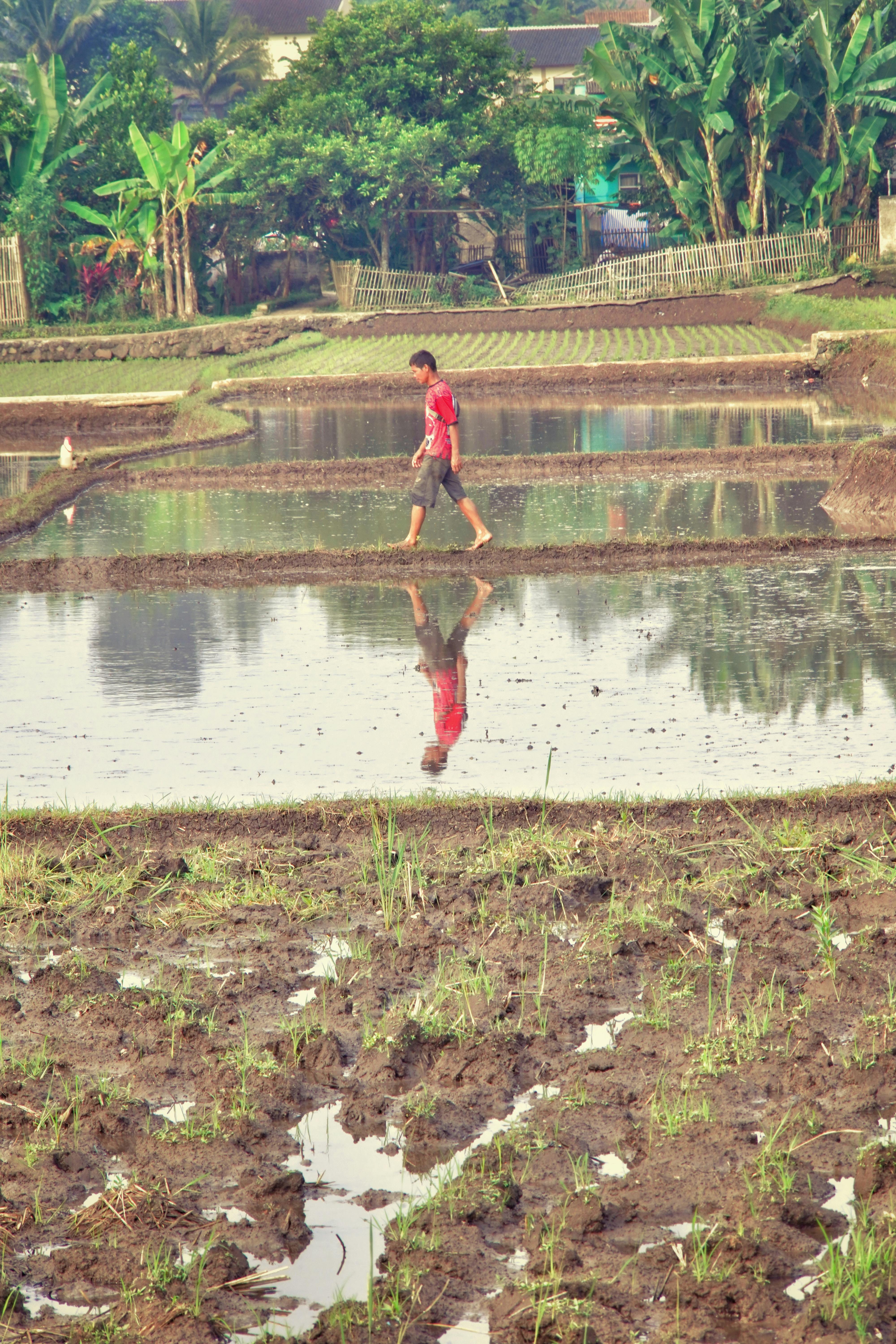 Flooding On Farm Photos, Download The BEST Free Flooding On Farm Stock ...