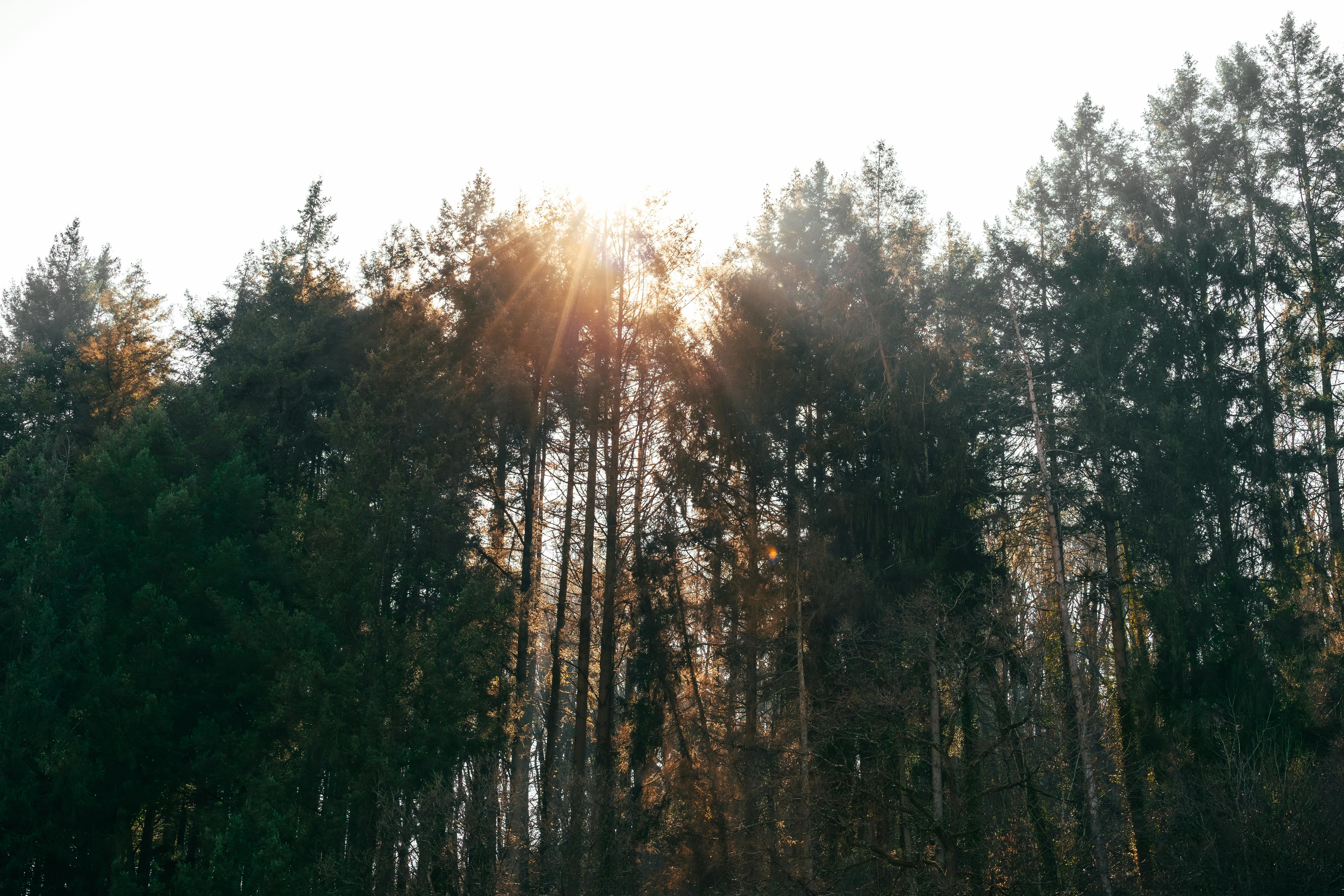 Ad Thiry - Photography