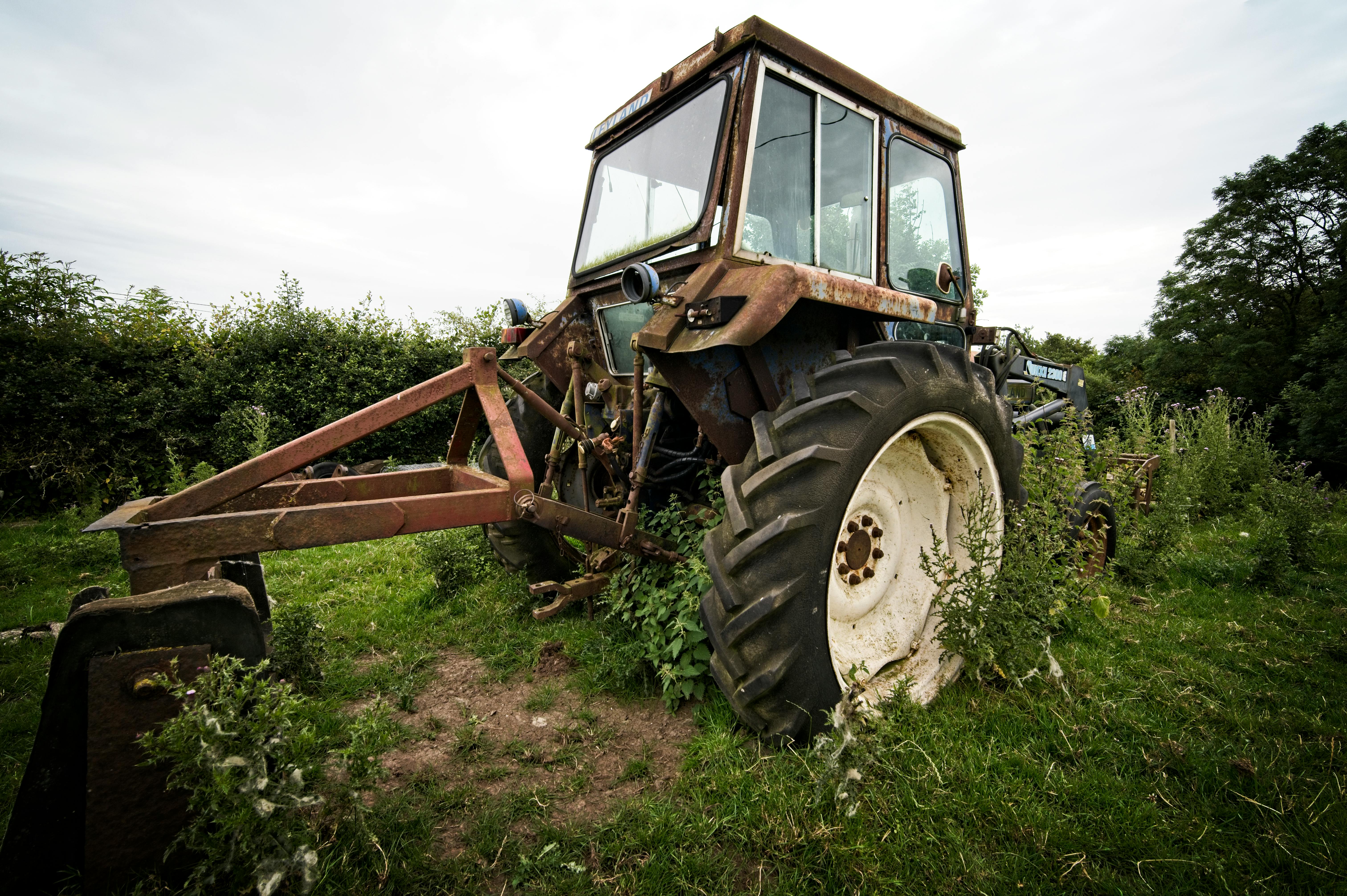 Invasive Weeds in Utah: Prevention and Management Strategies