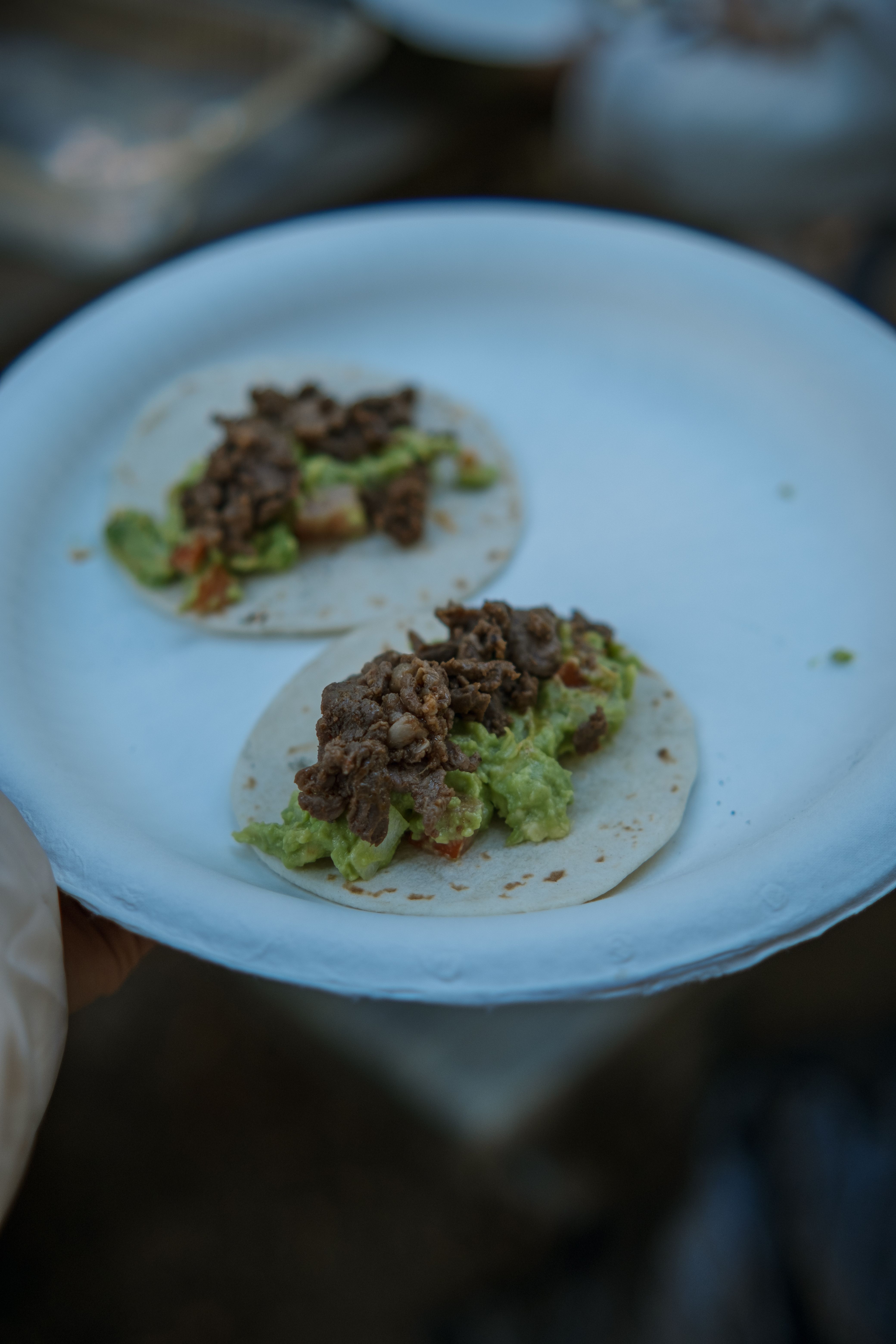 Taco Single Photos, Download The BEST Free Taco Single Stock Photos ...