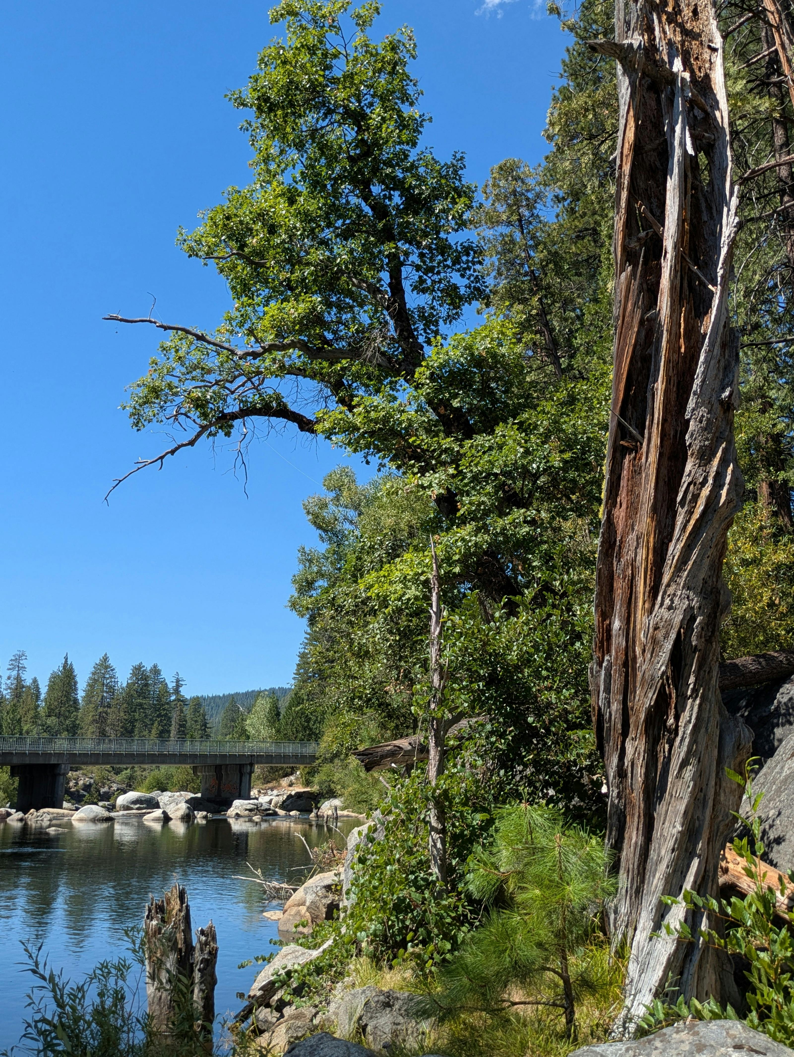 Natural Environment Photos, Download The BEST Free Natural Environment ...