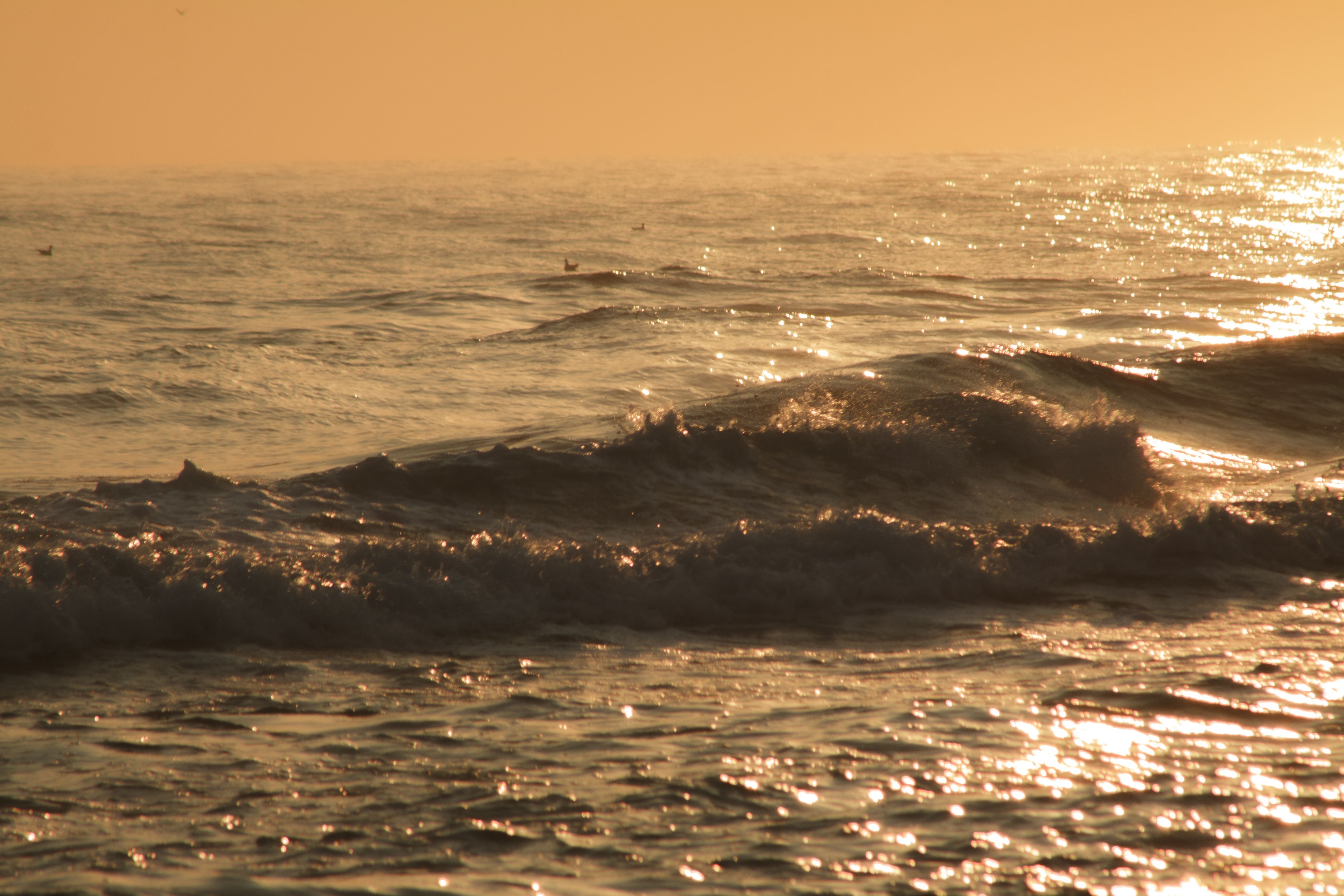 Calm Sea Waves And Sunset Photos, Download The BEST Free Calm Sea Waves ...