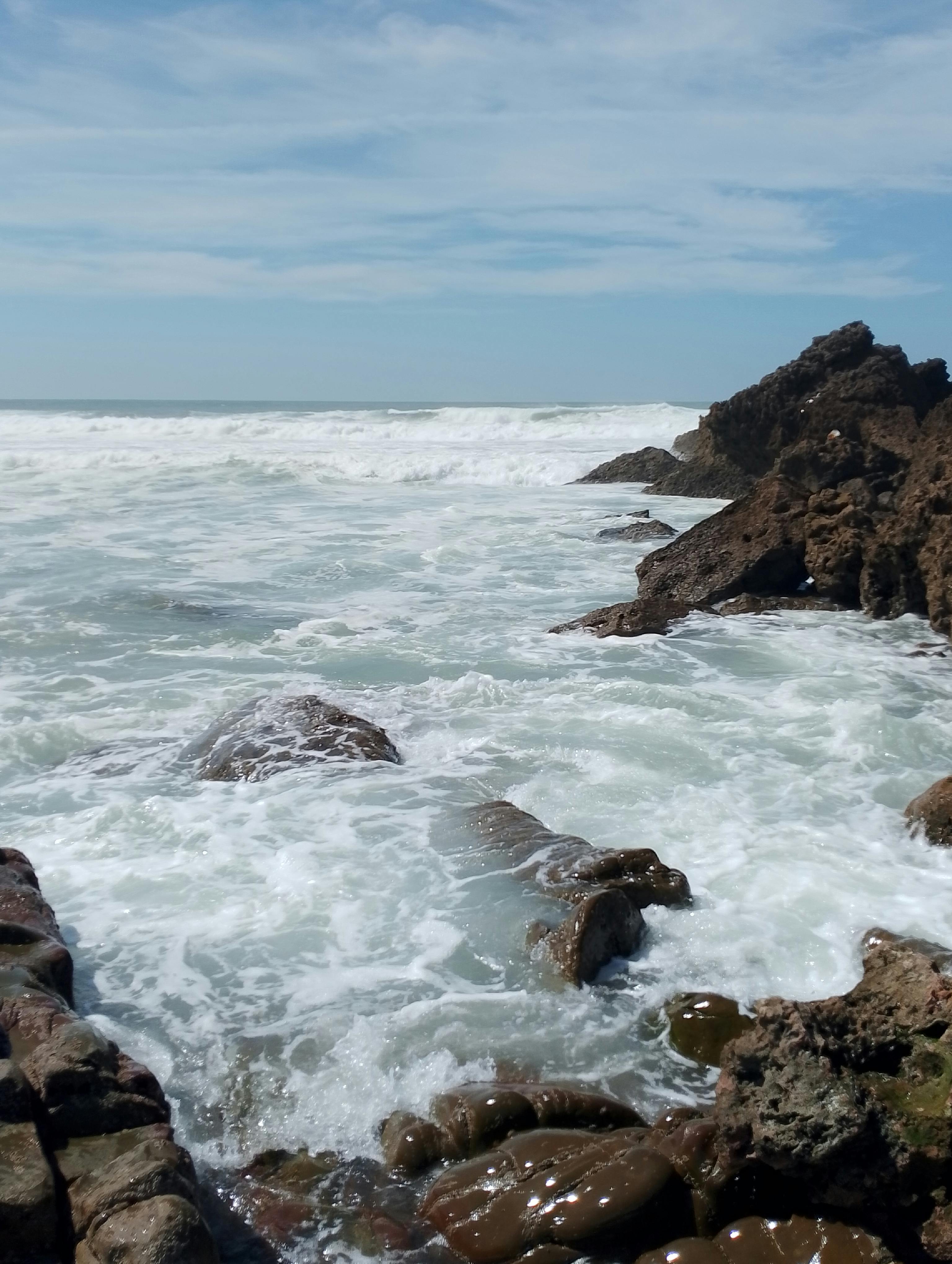 Natural Environment Photos, Download The BEST Free Natural Environment ...