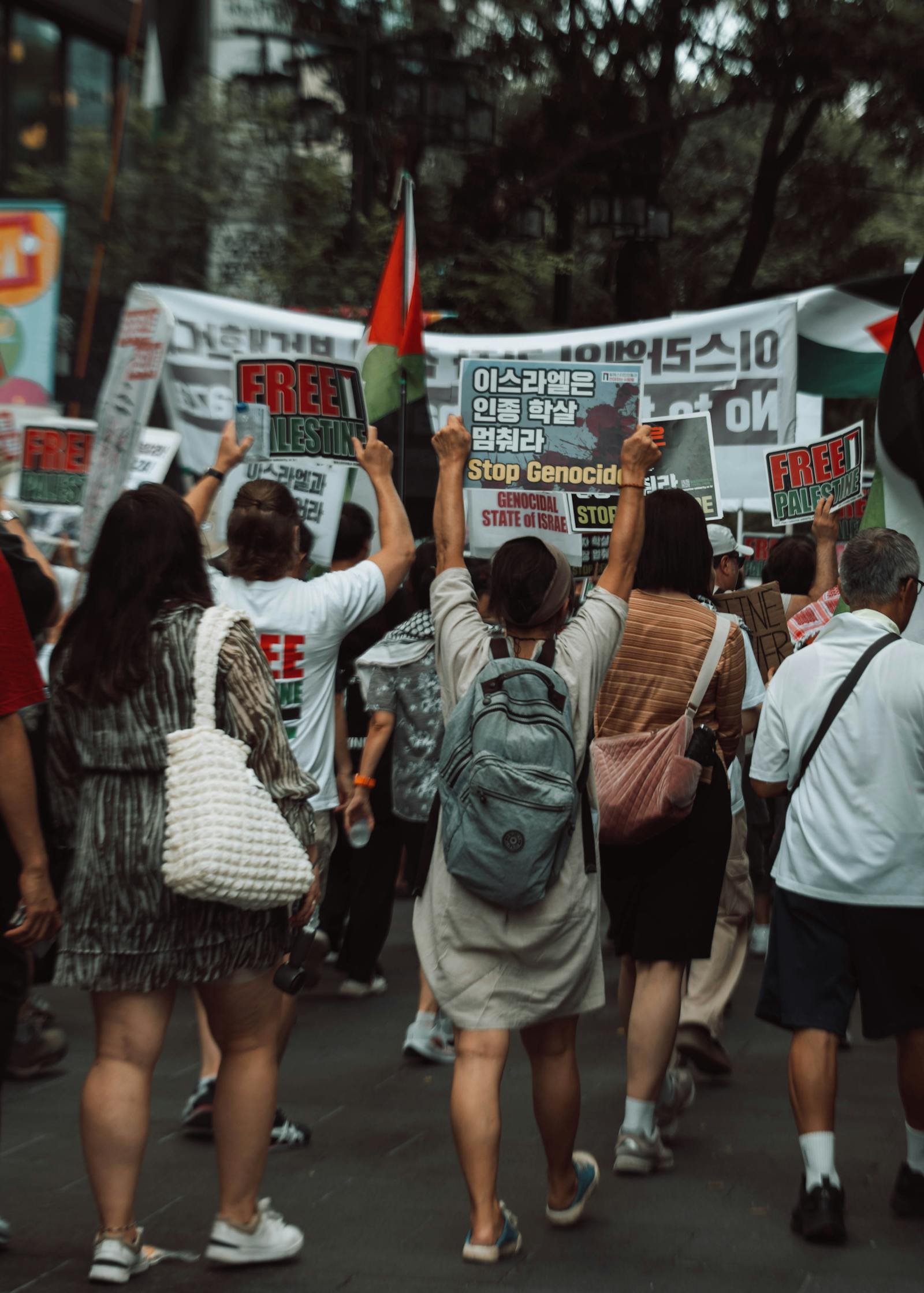 Human Rights Photos, Download The BEST Free Human Rights Stock Photos ...