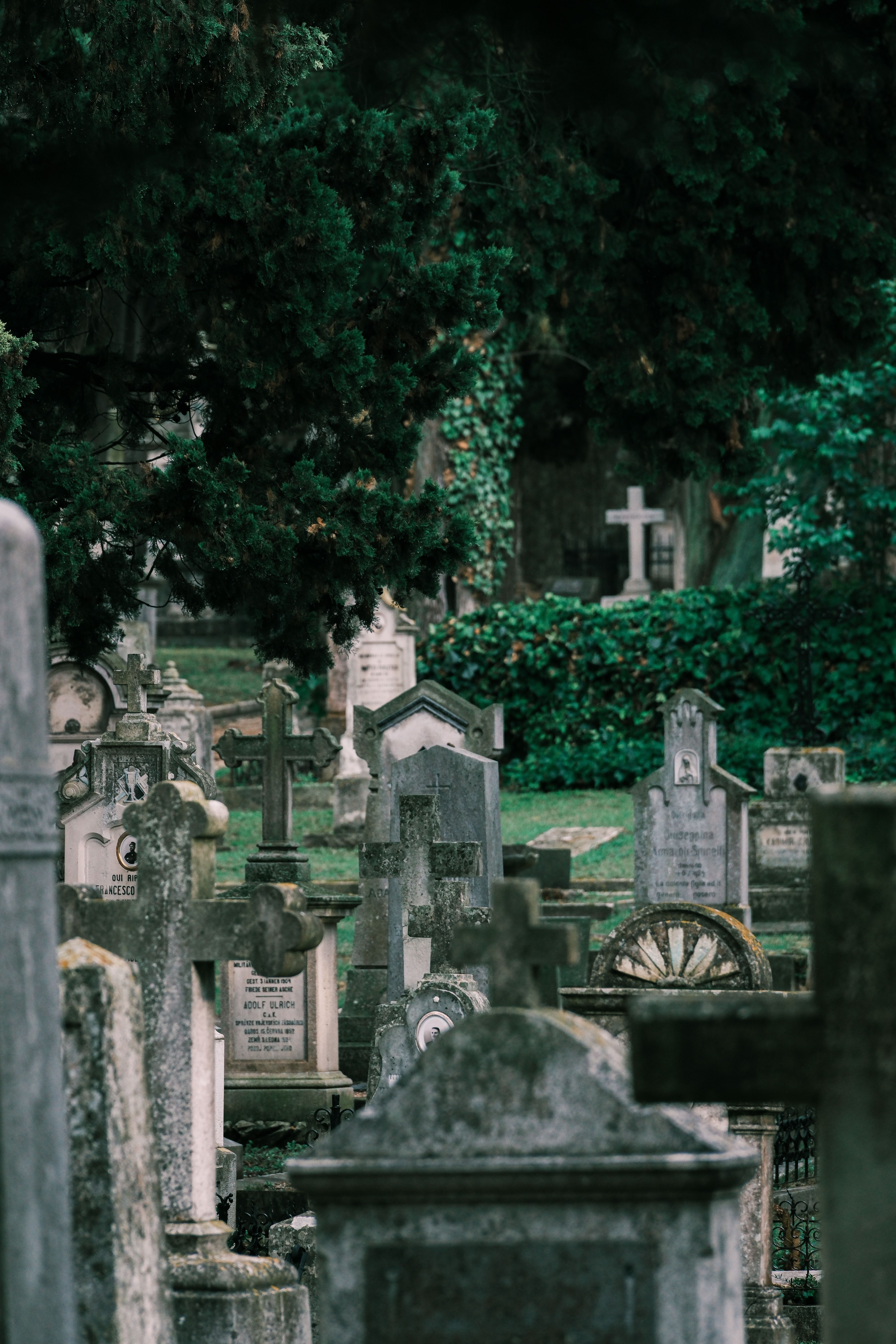 Old cemetery with shabby tombstones and lush trees · Free Stock Photo
