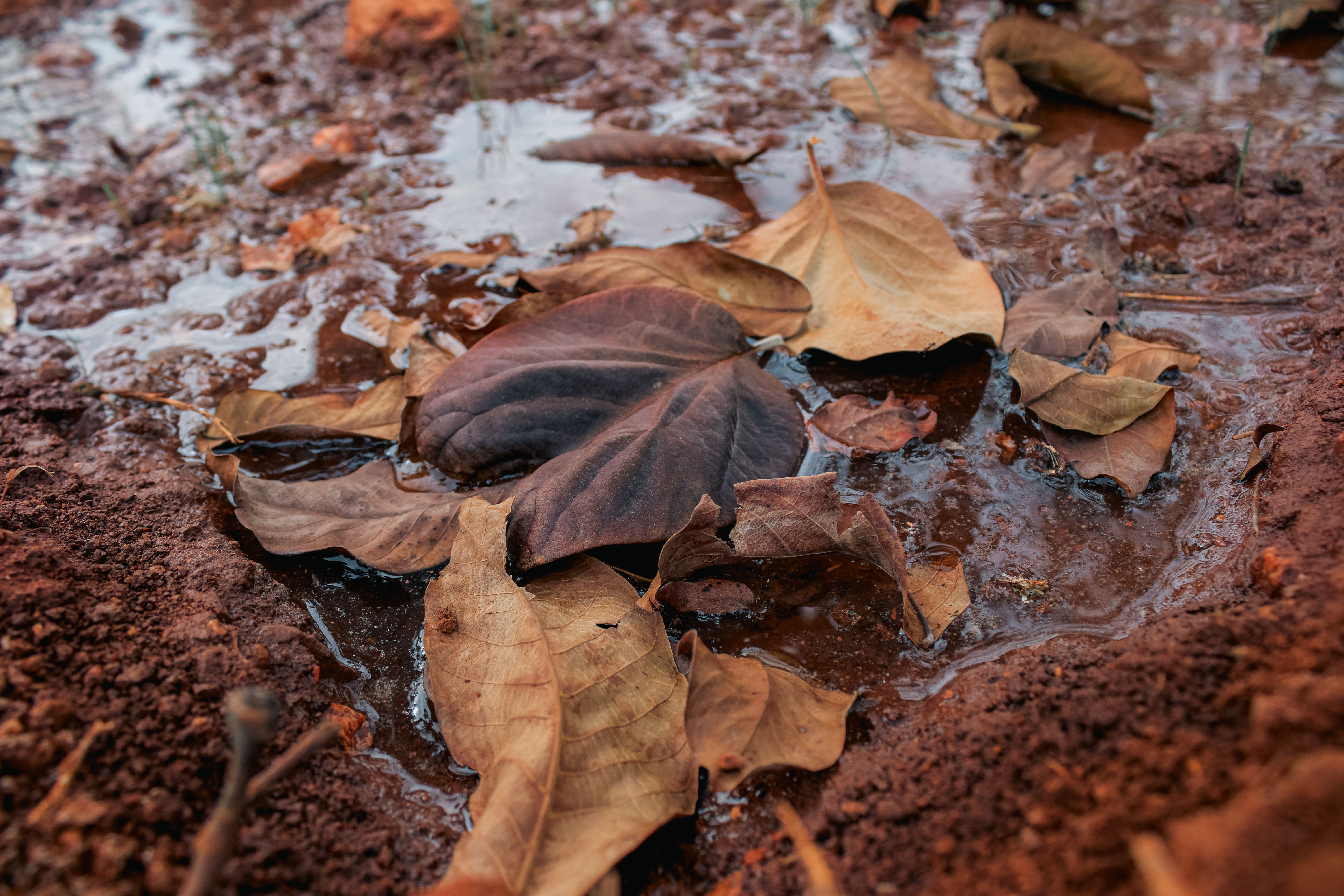Water Fall Texture Photos, Download The BEST Free Water Fall Texture ...