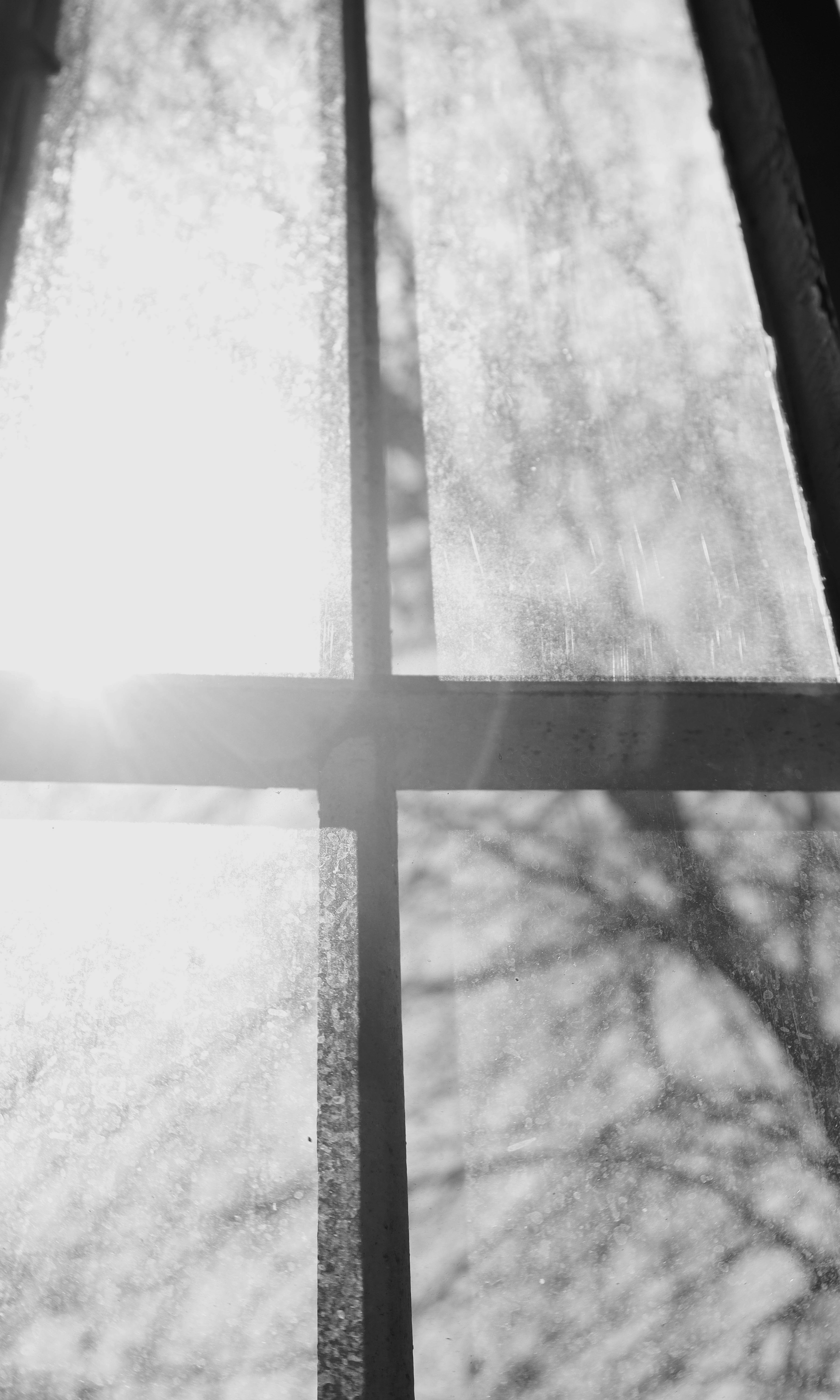 Tangram Shapes Photos, Download The BEST Free Tangram Shapes Stock ...