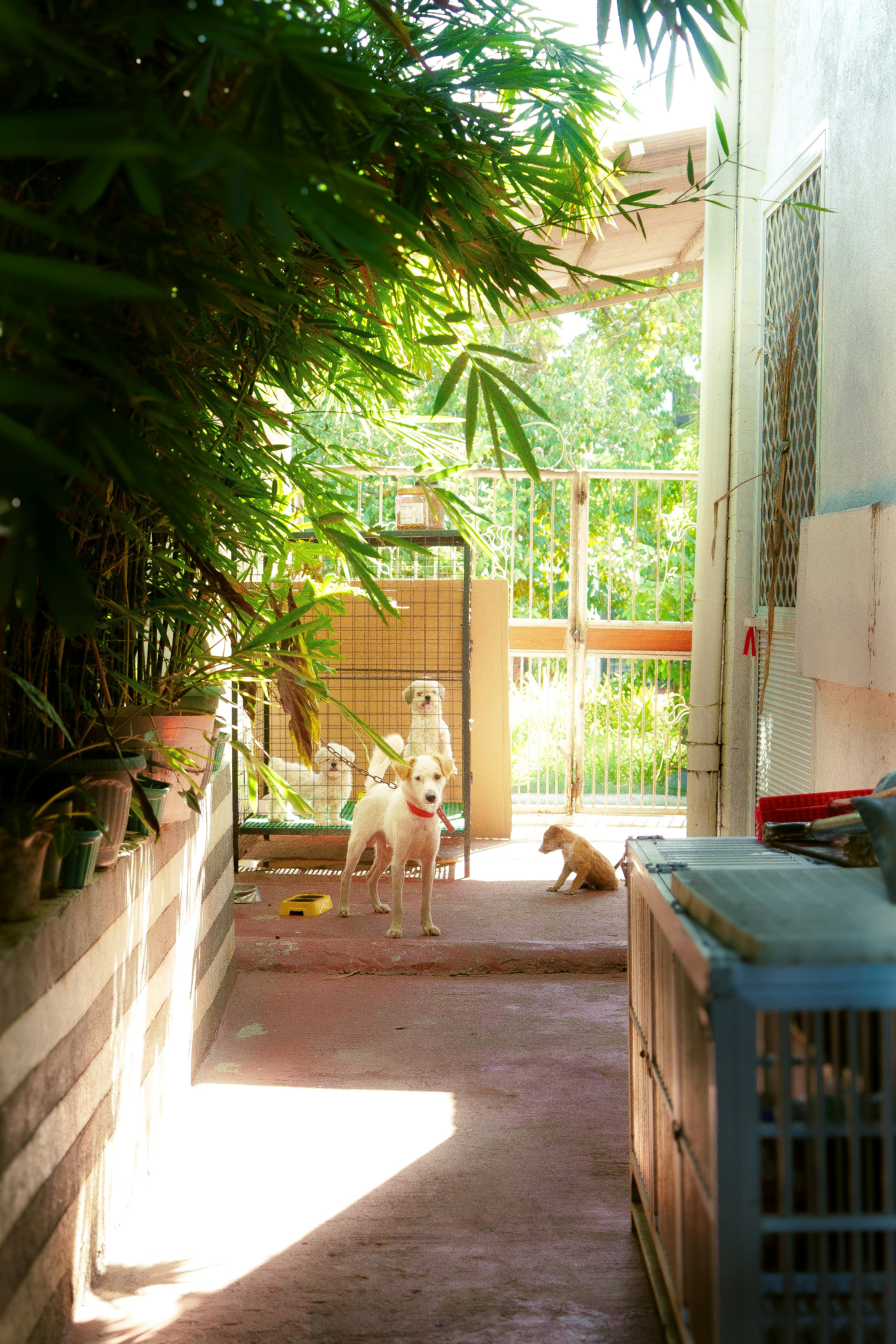 Manila Philippines Photos, Download The BEST Free Manila Philippines ...