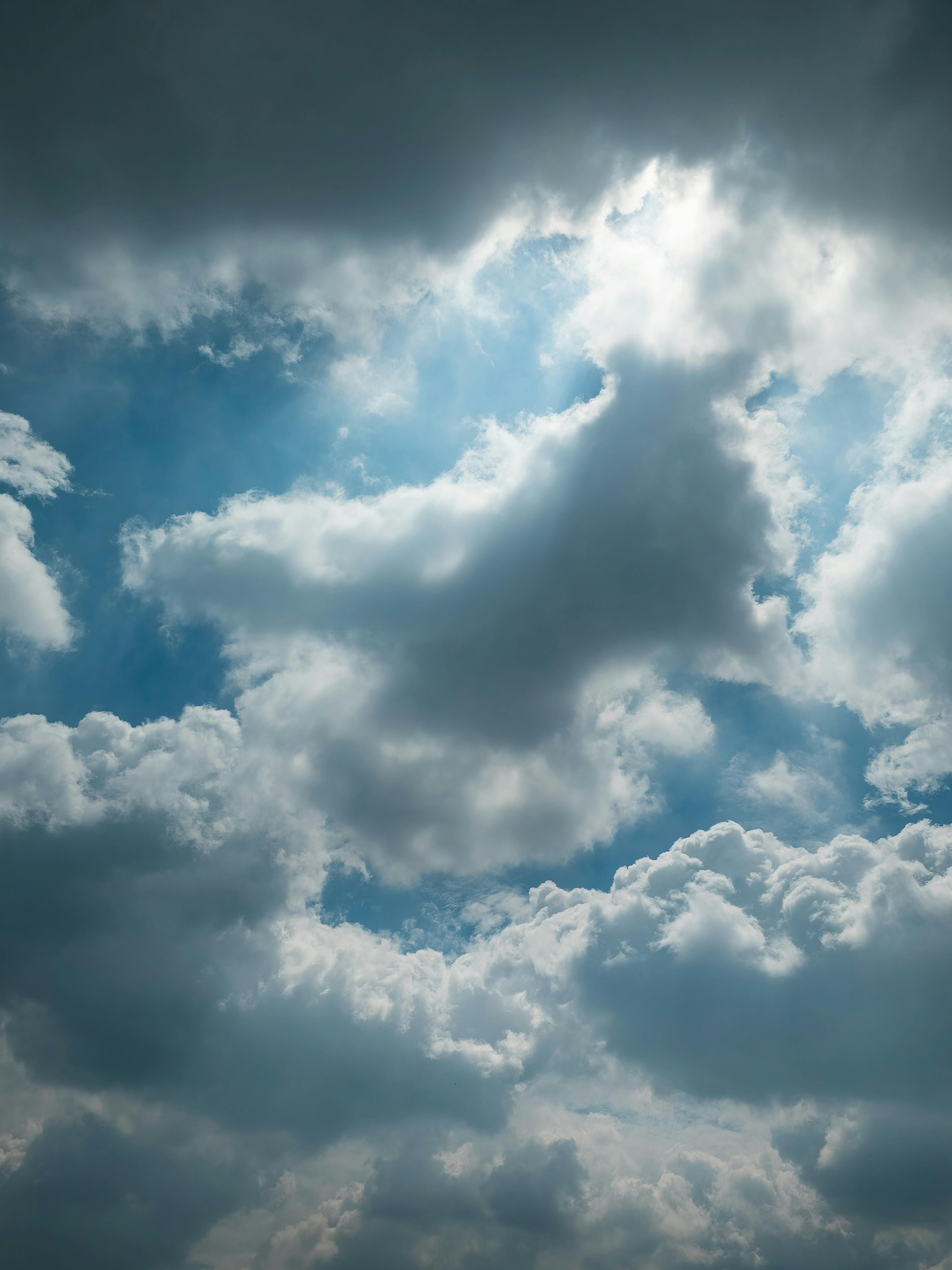 50,000+张最精彩的“Mikasa Wallpaper”图片 · 100%免费下载 · Pexels素材图片