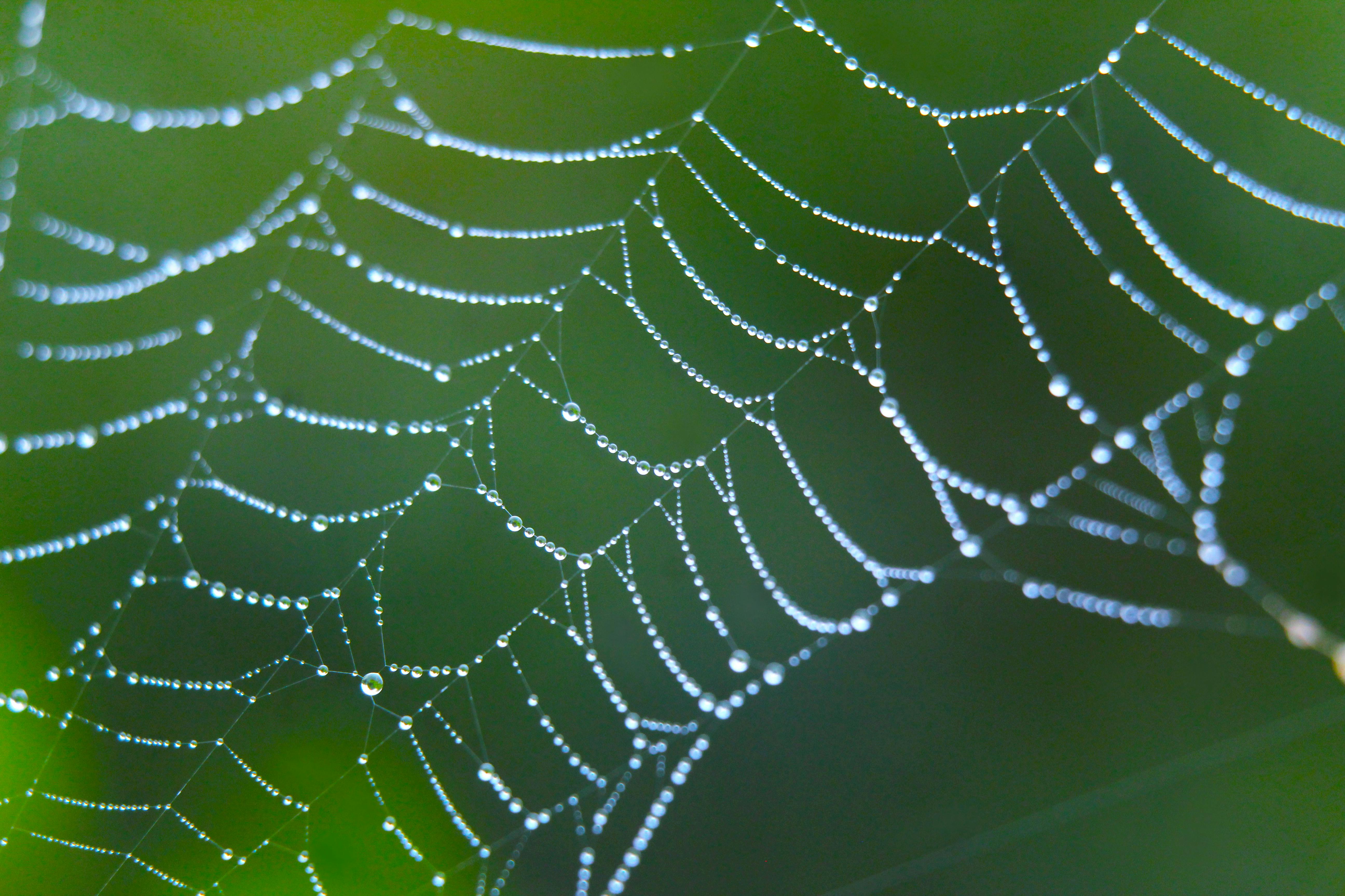 Humidity Photos, Download The BEST Free Humidity Stock Photos & HD Images