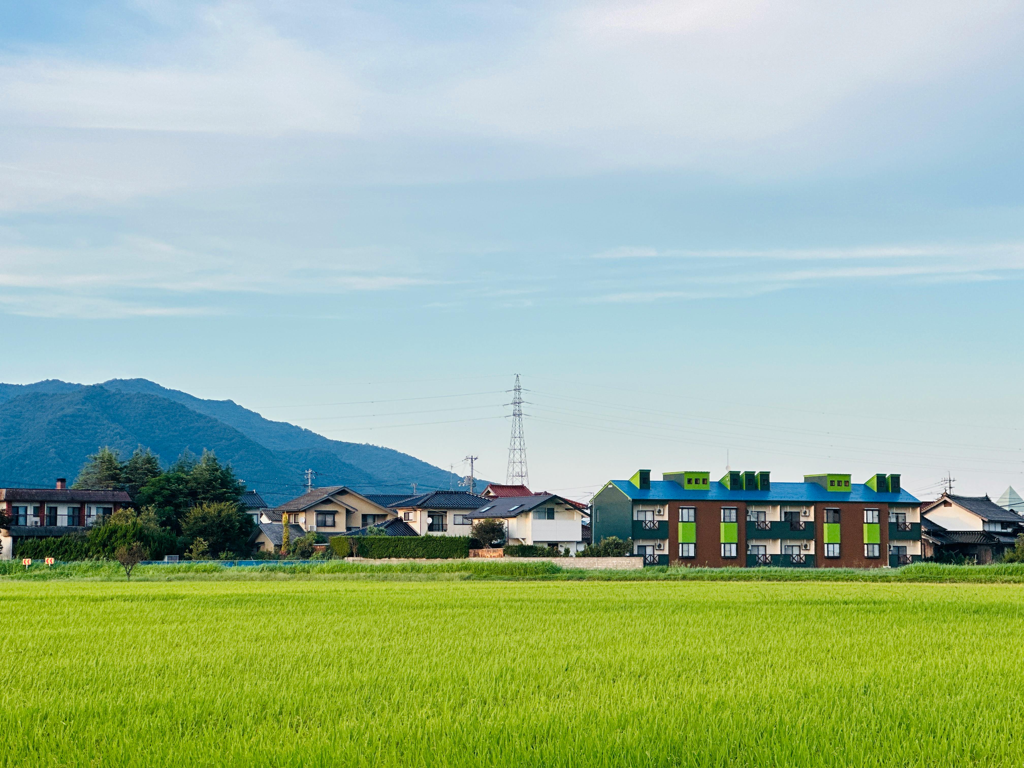 Dr. Mohammad Hoque - 摄影