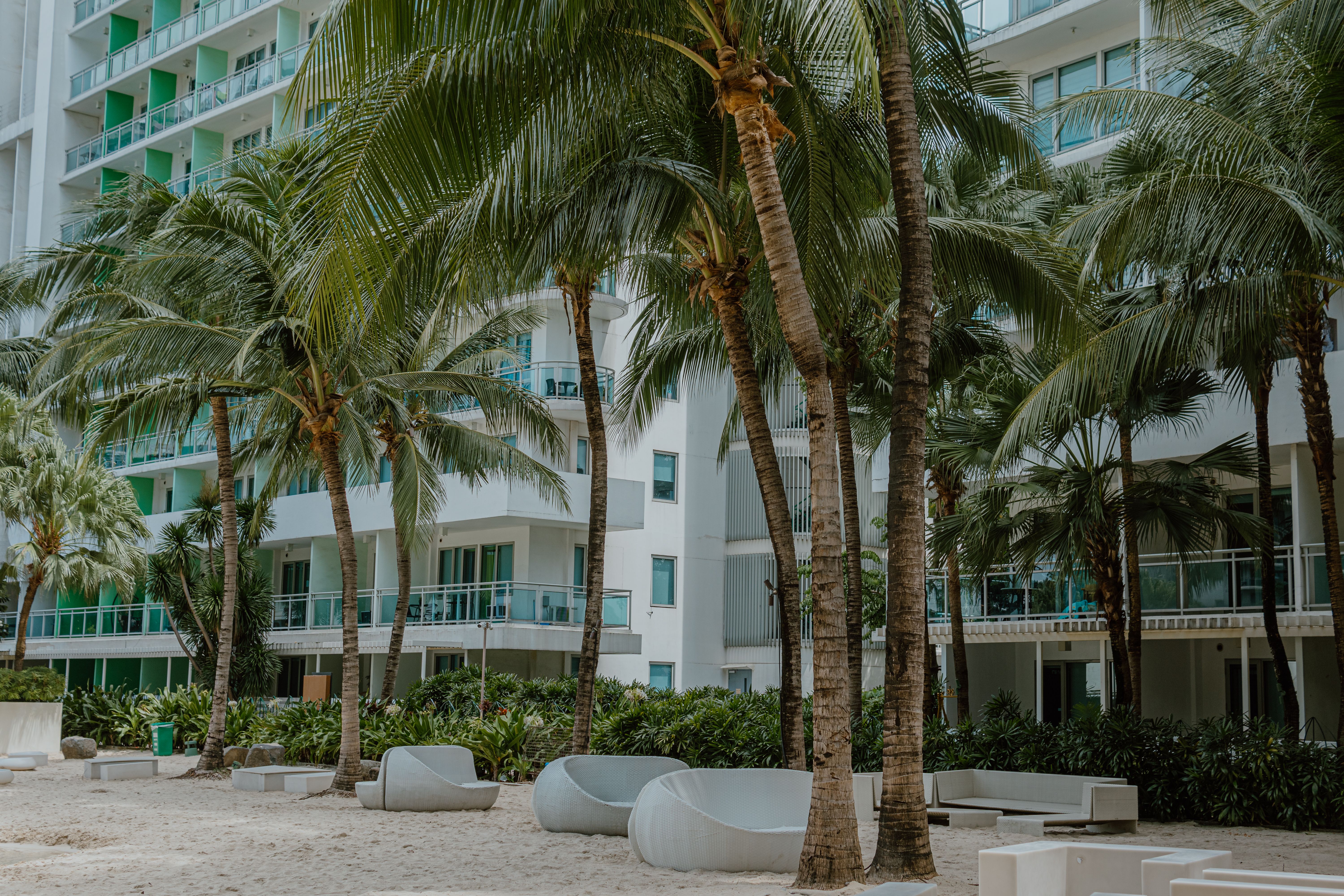 Modern Tropical Resort with Poolside Architecture · Free Stock Photo