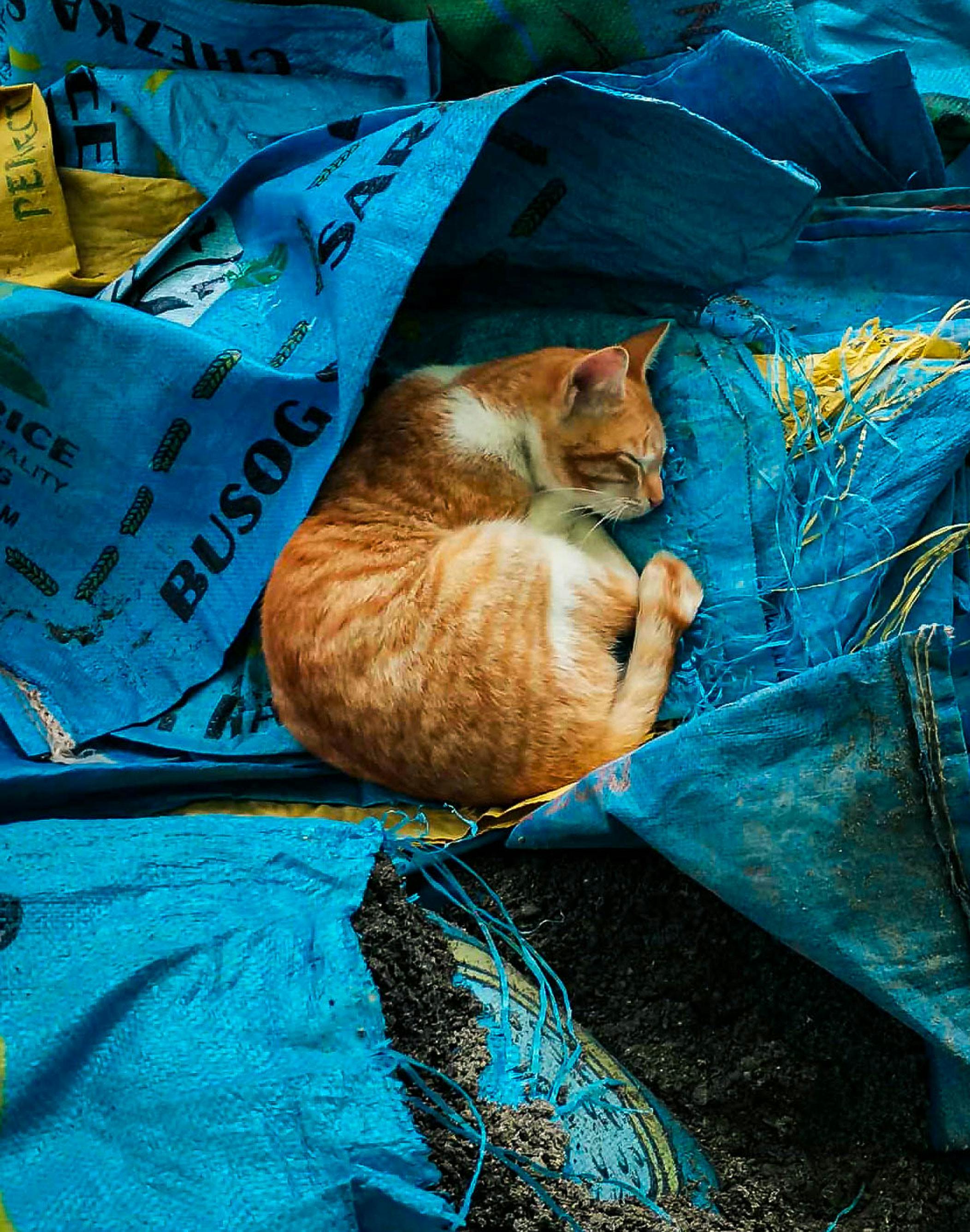 Mild Pictures Photos, Download The BEST Free Mild Pictures Stock Photos ...