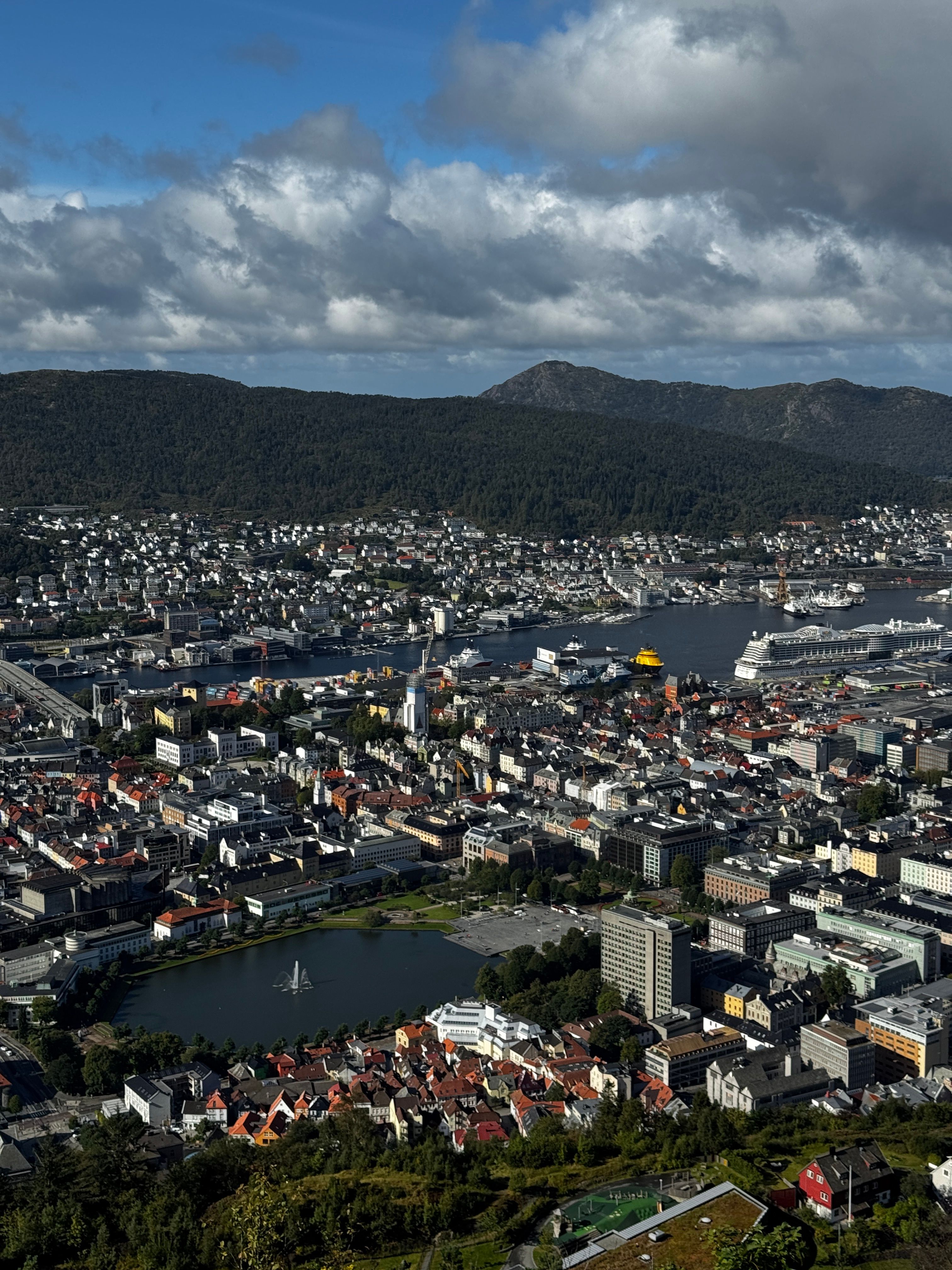 Aerial View of Bergen Cityscape and Harbor · Free Stock Photo