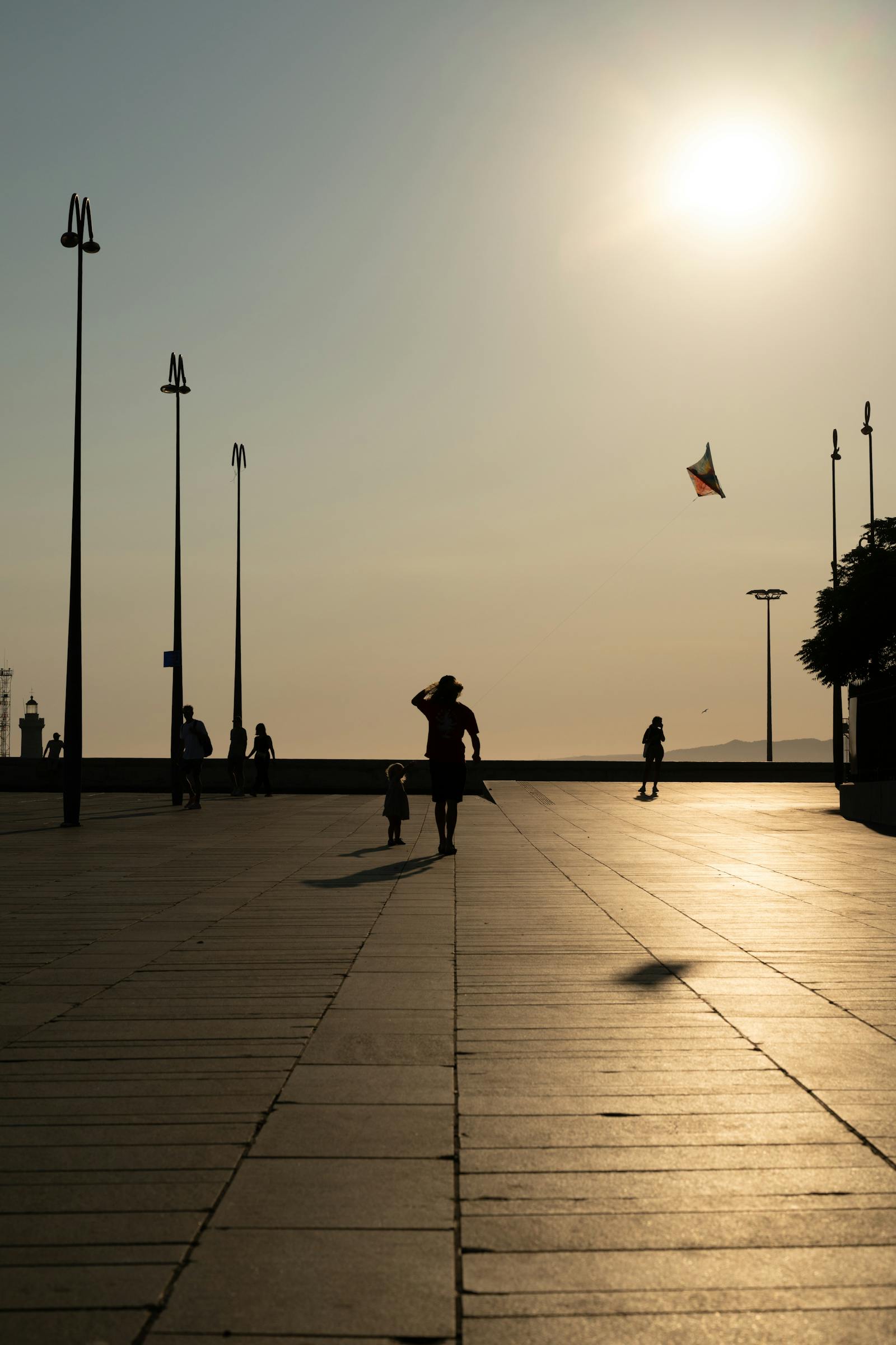 Kite Images Photos, Download The BEST Free Kite Images Stock Photos ...