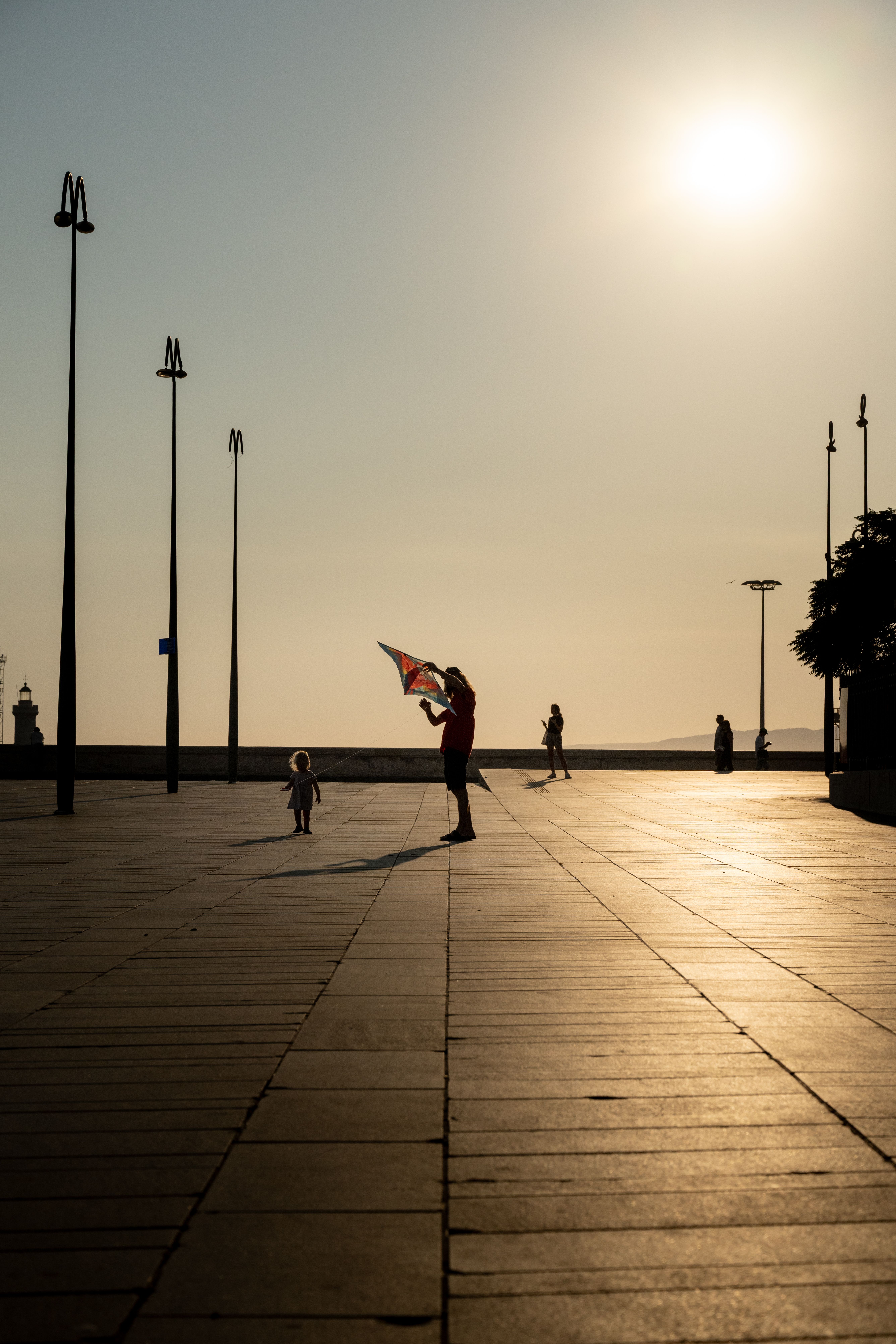 Kite Images Photos, Download The BEST Free Kite Images Stock Photos ...