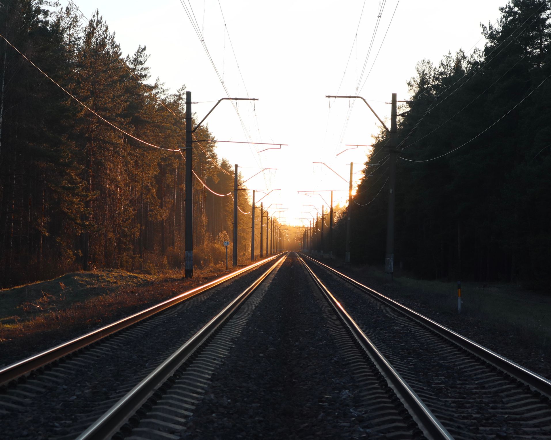 Camrail Railway Network: Easy Travel Info & Routes for 2024