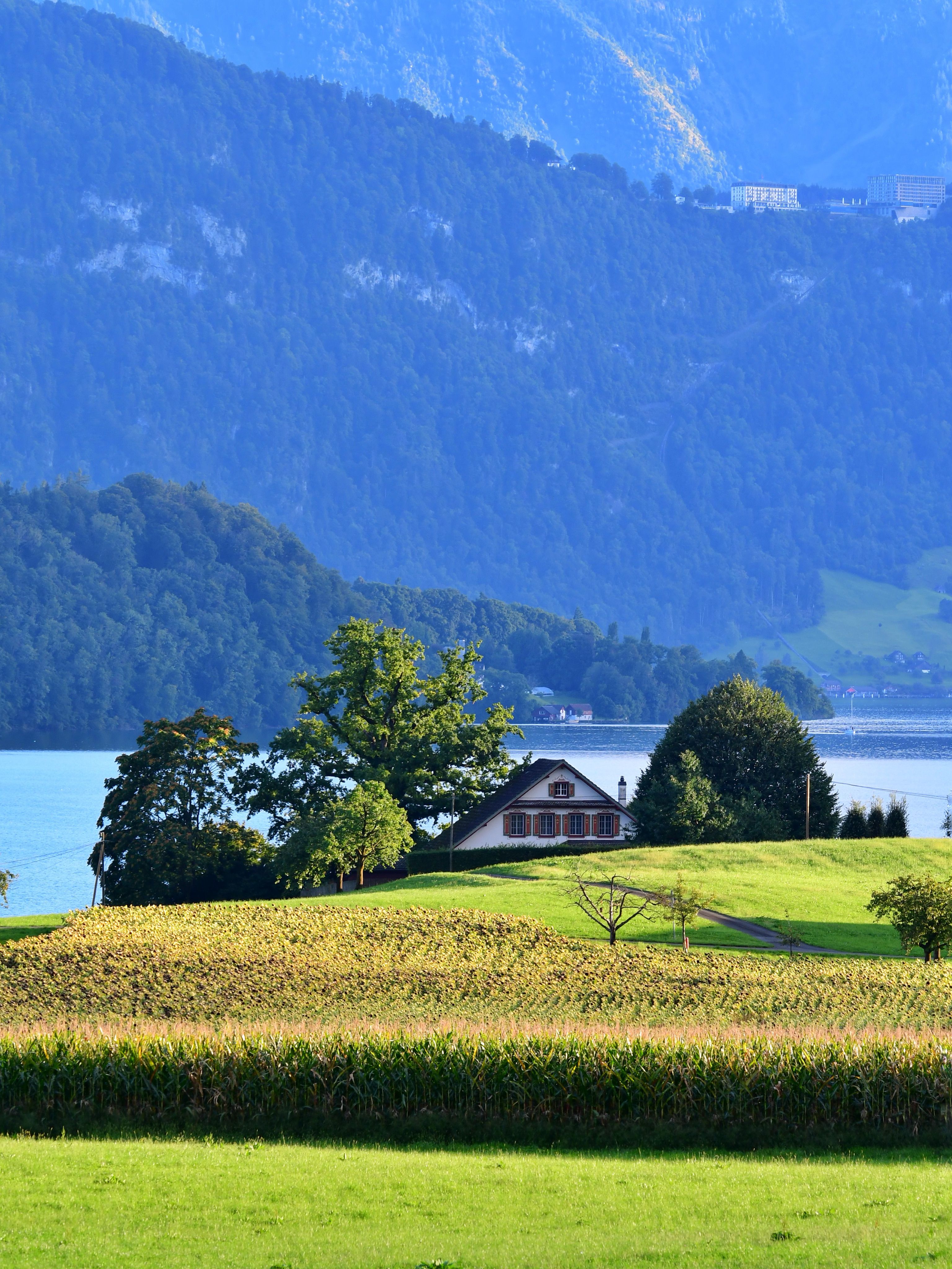 Scenic Swiss Countryside with Traditional Chalet · Free Stock Photo
