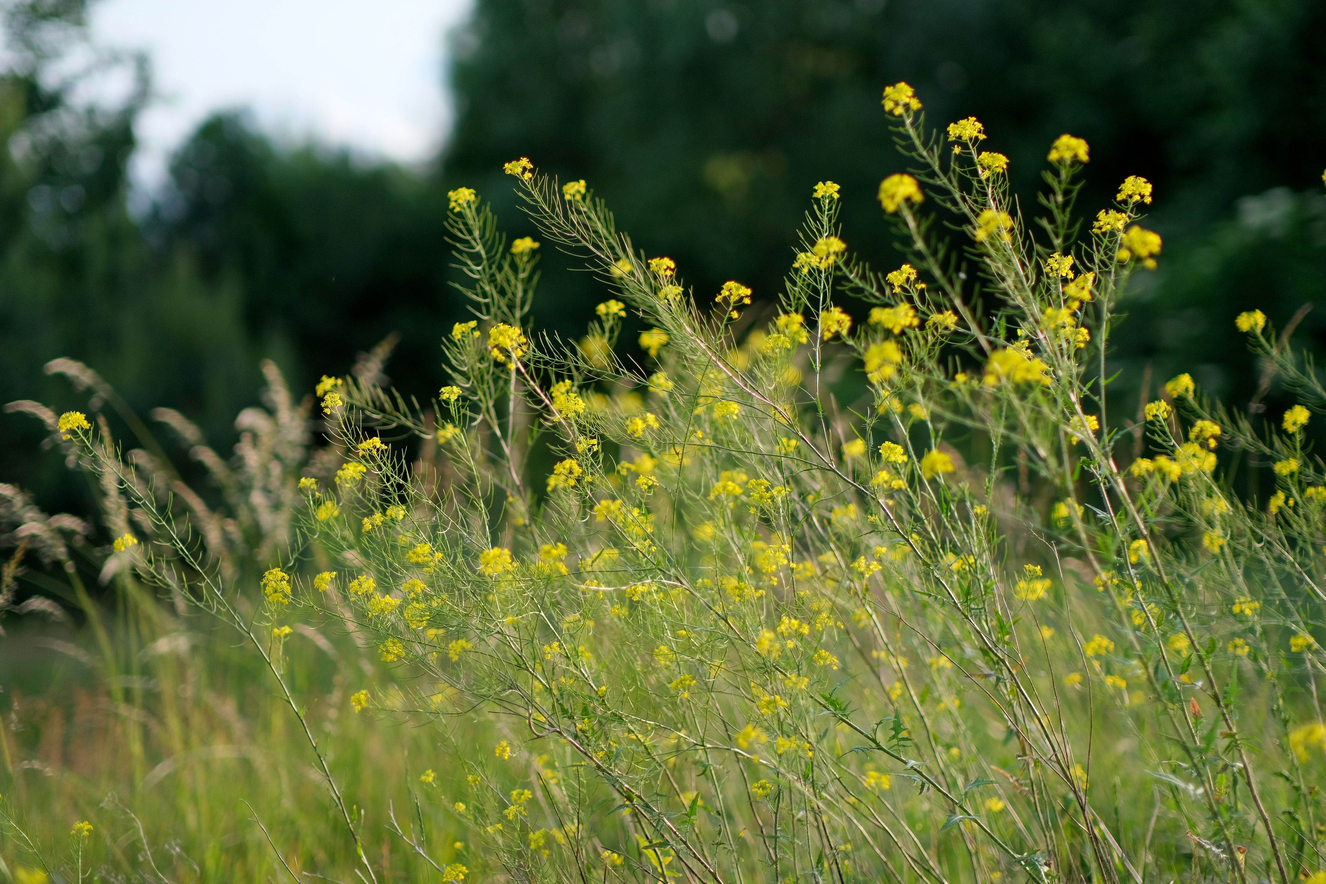 Spring Season Photos, Download The BEST Free Spring Season Stock Photos ...