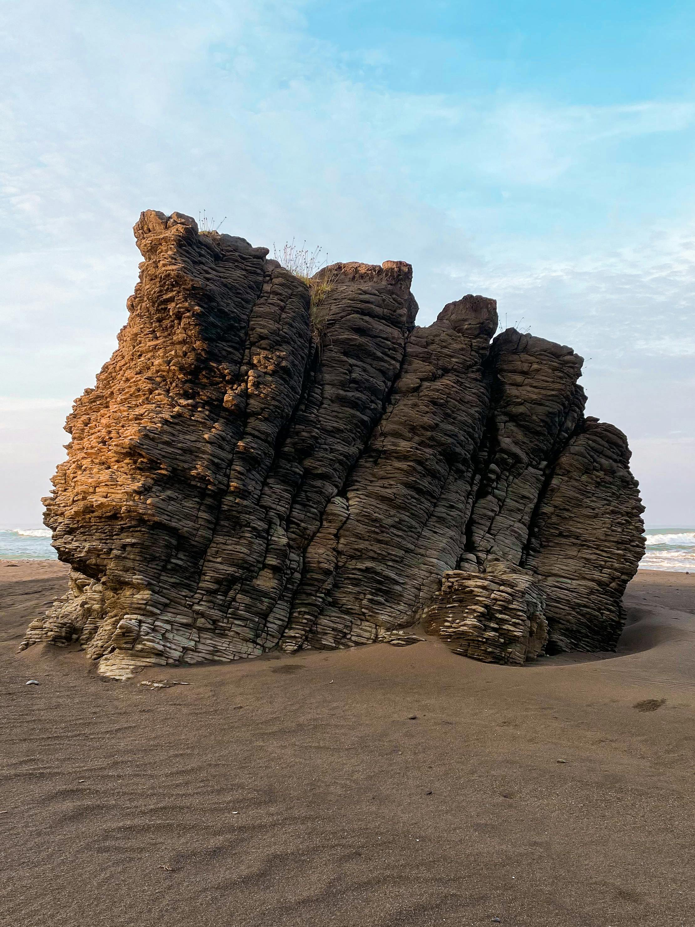 Nature Textures Photos, Download The BEST Free Nature Textures Stock ...