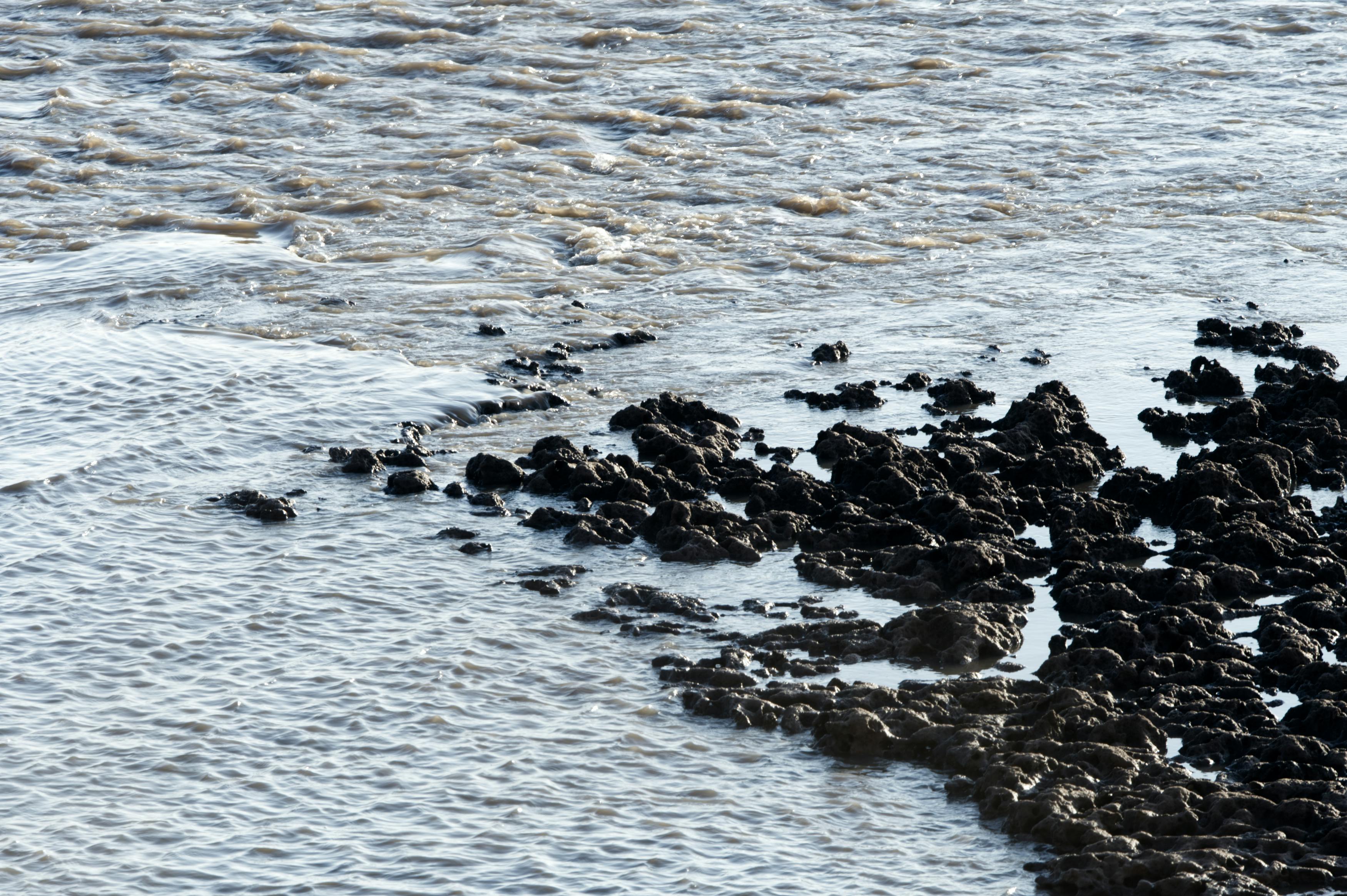 Wife+Tan+Lines+Homemade Photos, Download The BEST Free Wife+Tan+Lines ...