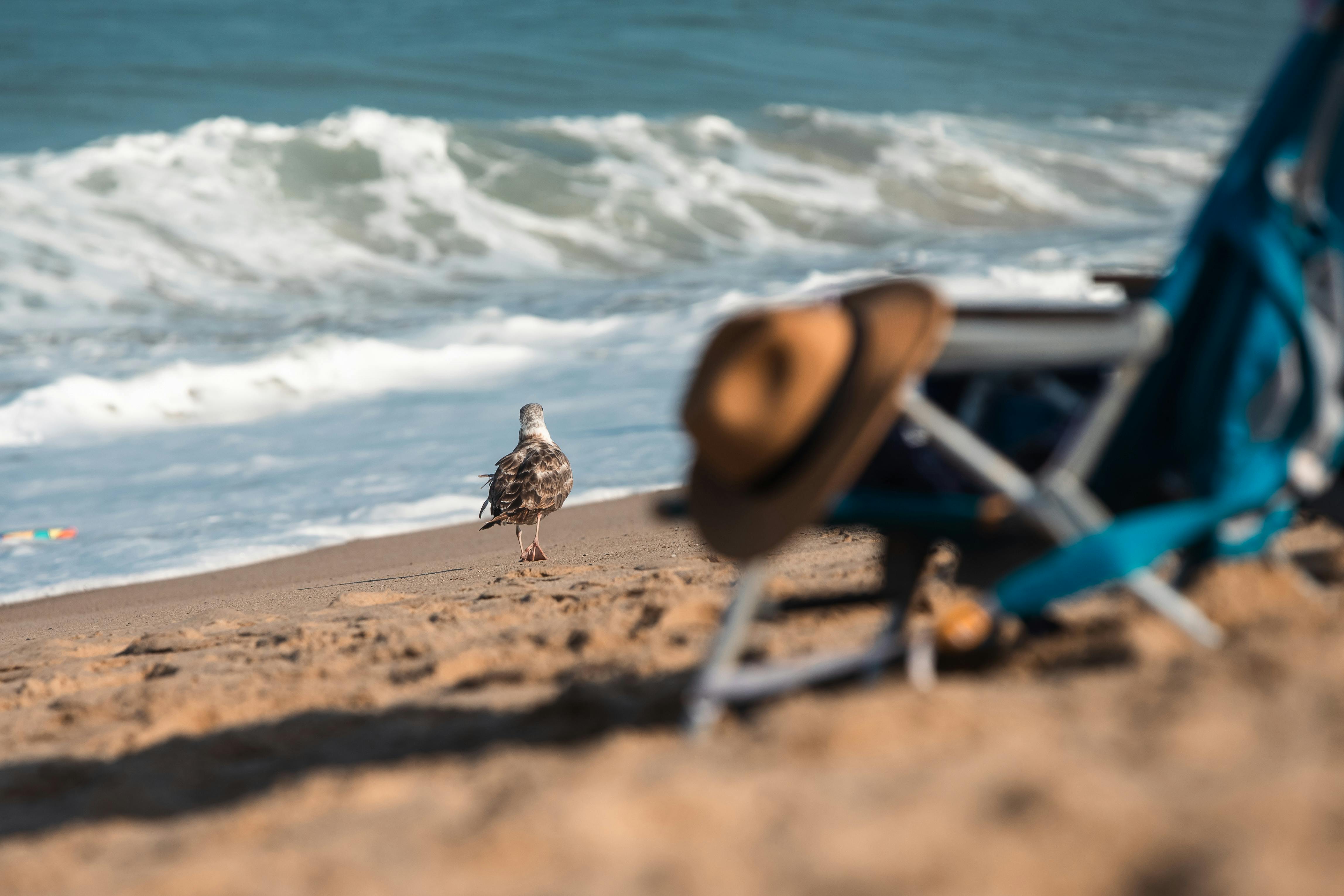 100.000+ Data4ebbs Imgsrc Sunny Bilder und Fotos · Kostenlos Downloaden ...