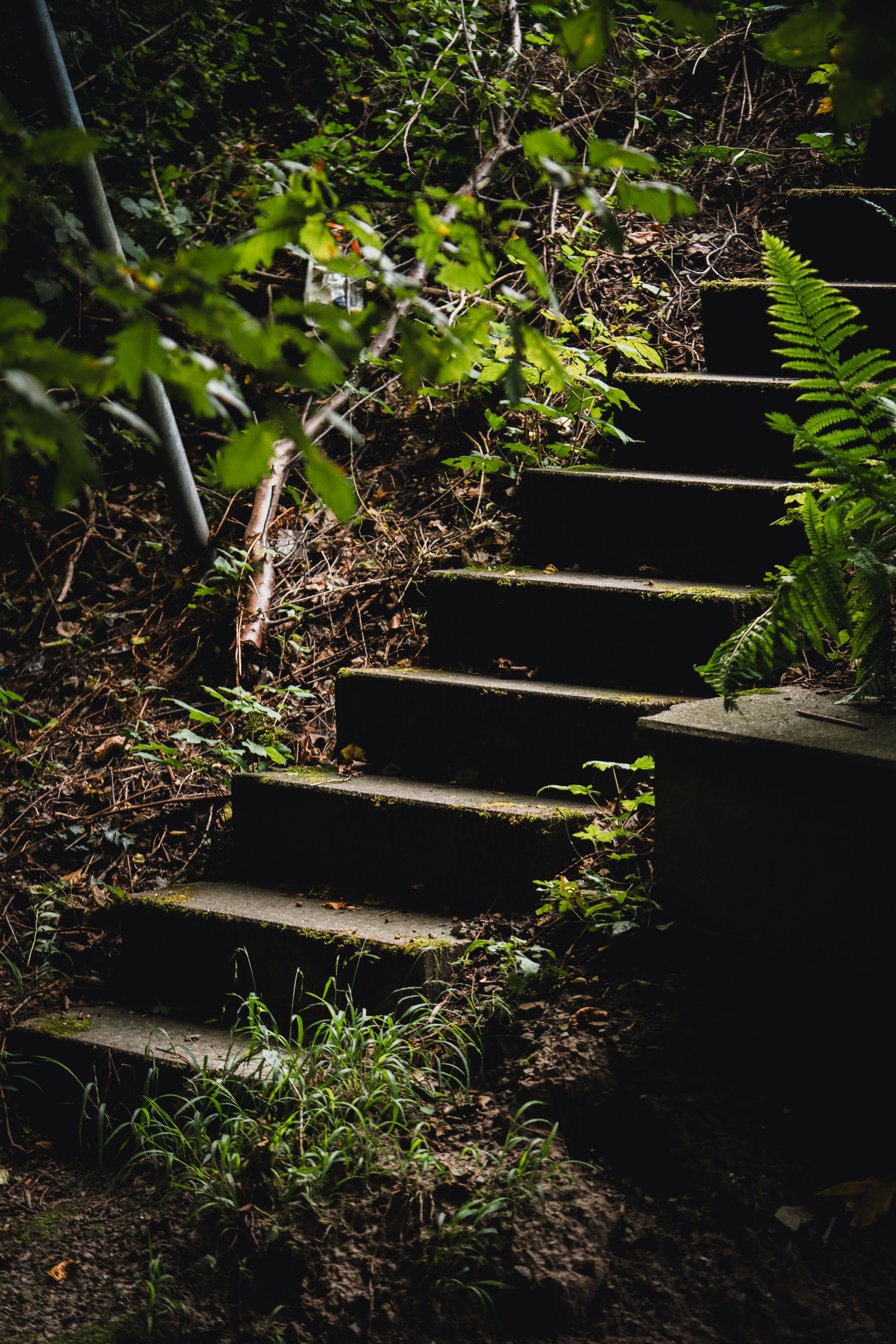 Wooden Stairs in Park in Autumn · Free Stock Photo