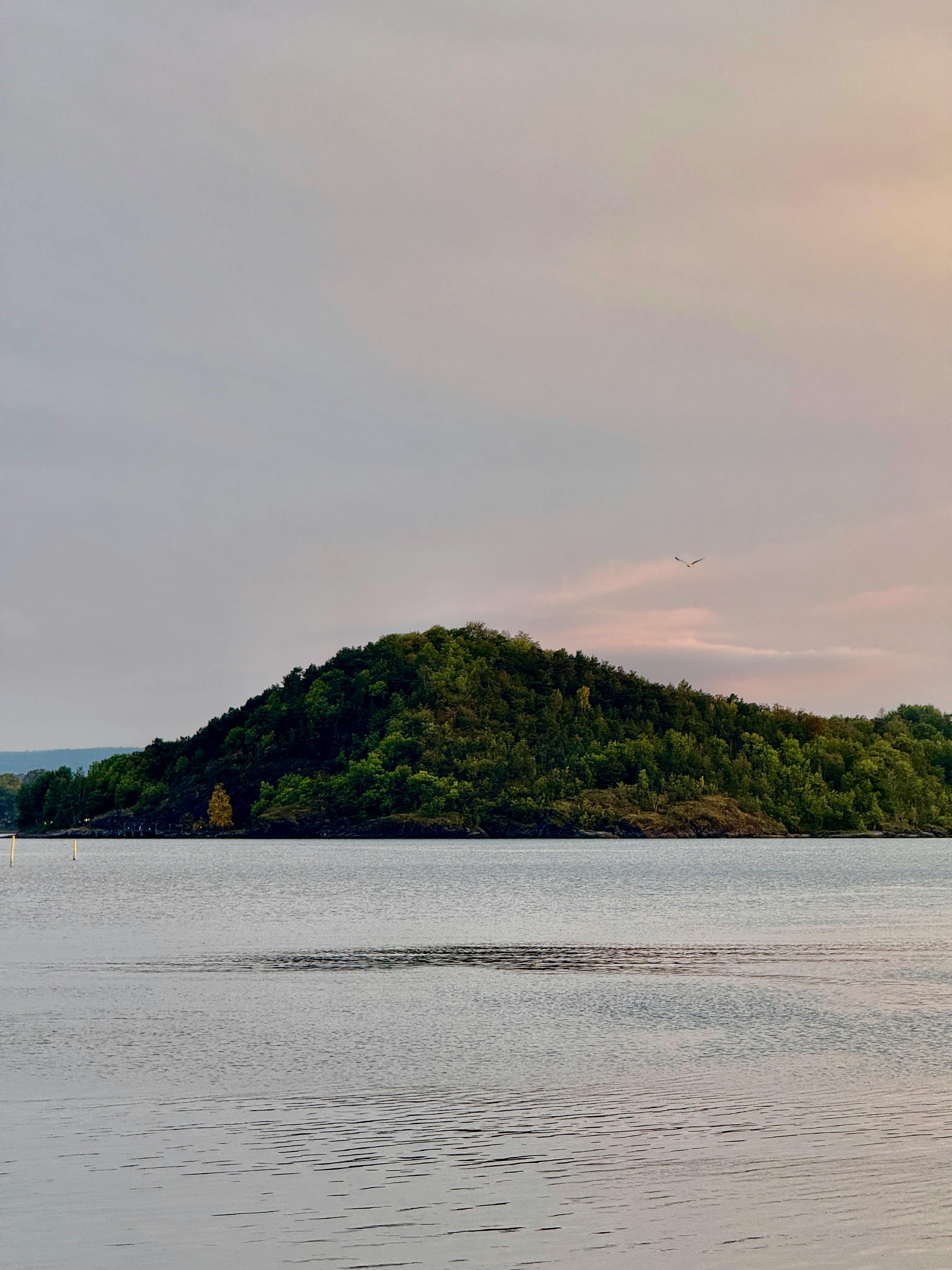 Serene El Salvador Lake with Lush Green Hills · Free Stock Photo