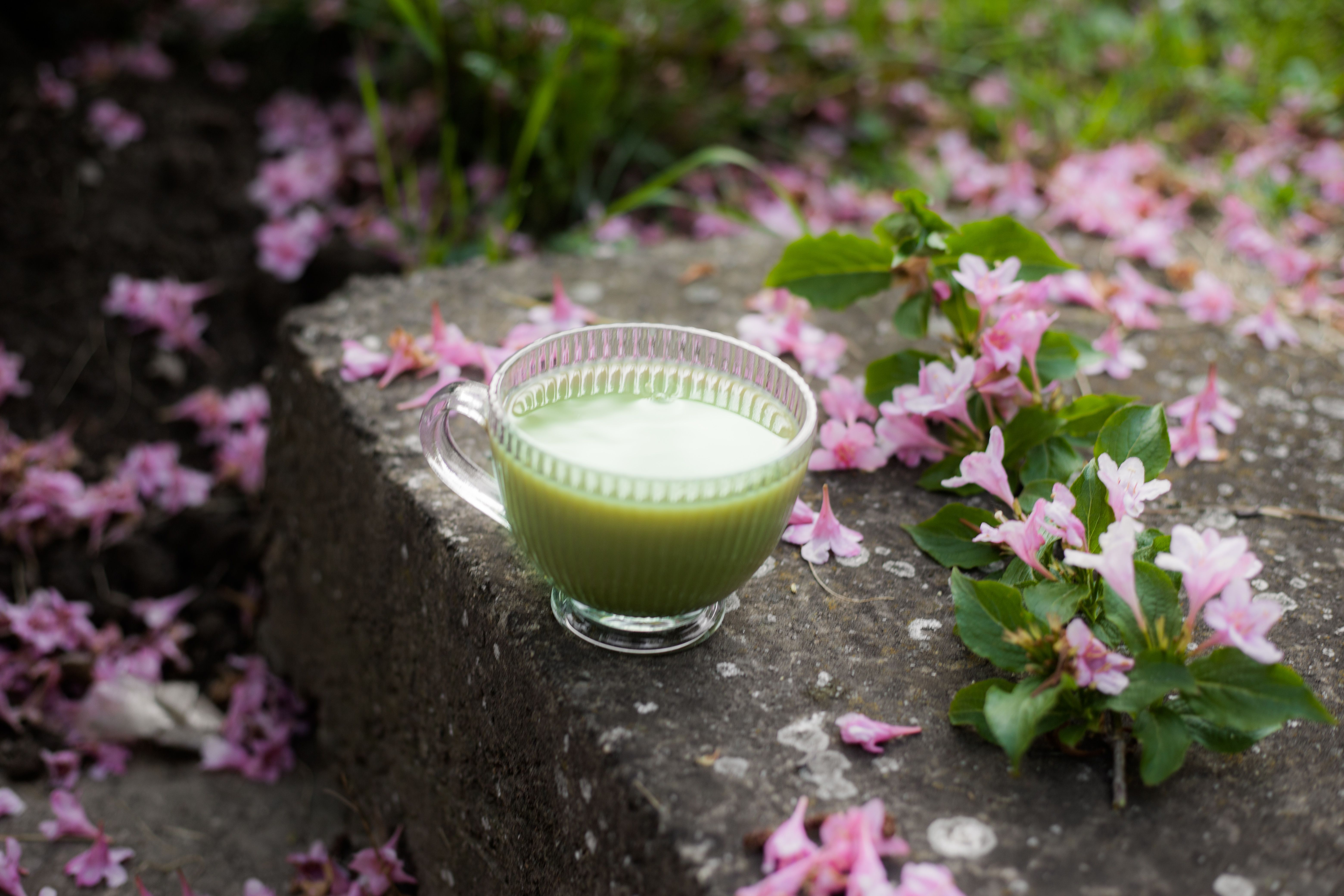 Close-Up Photo of Glass of Matcha Drink · Free Stock Photo