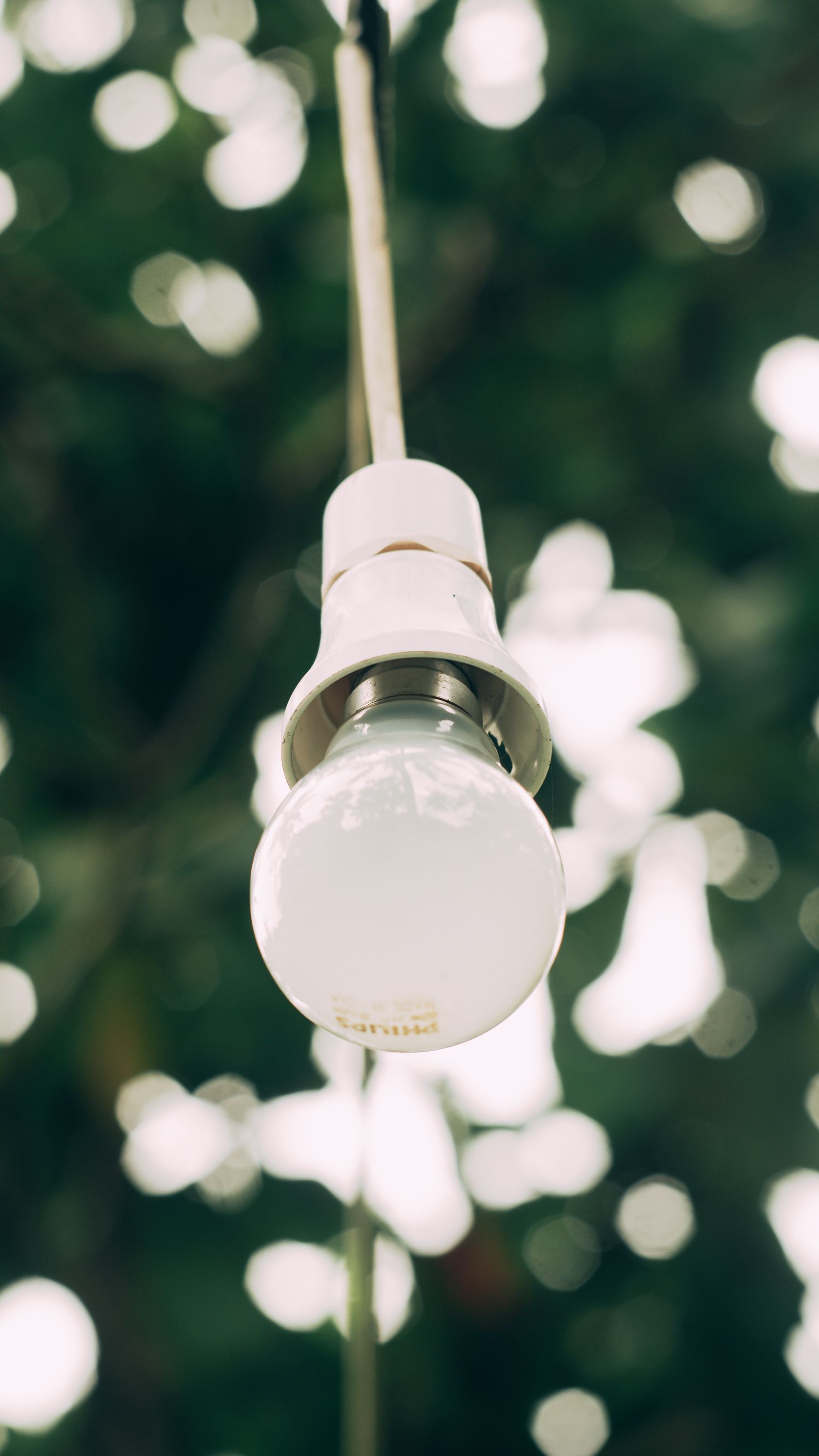 Outdoor Hanging Light Bulb Amidst Greenery · Free Stock Photo