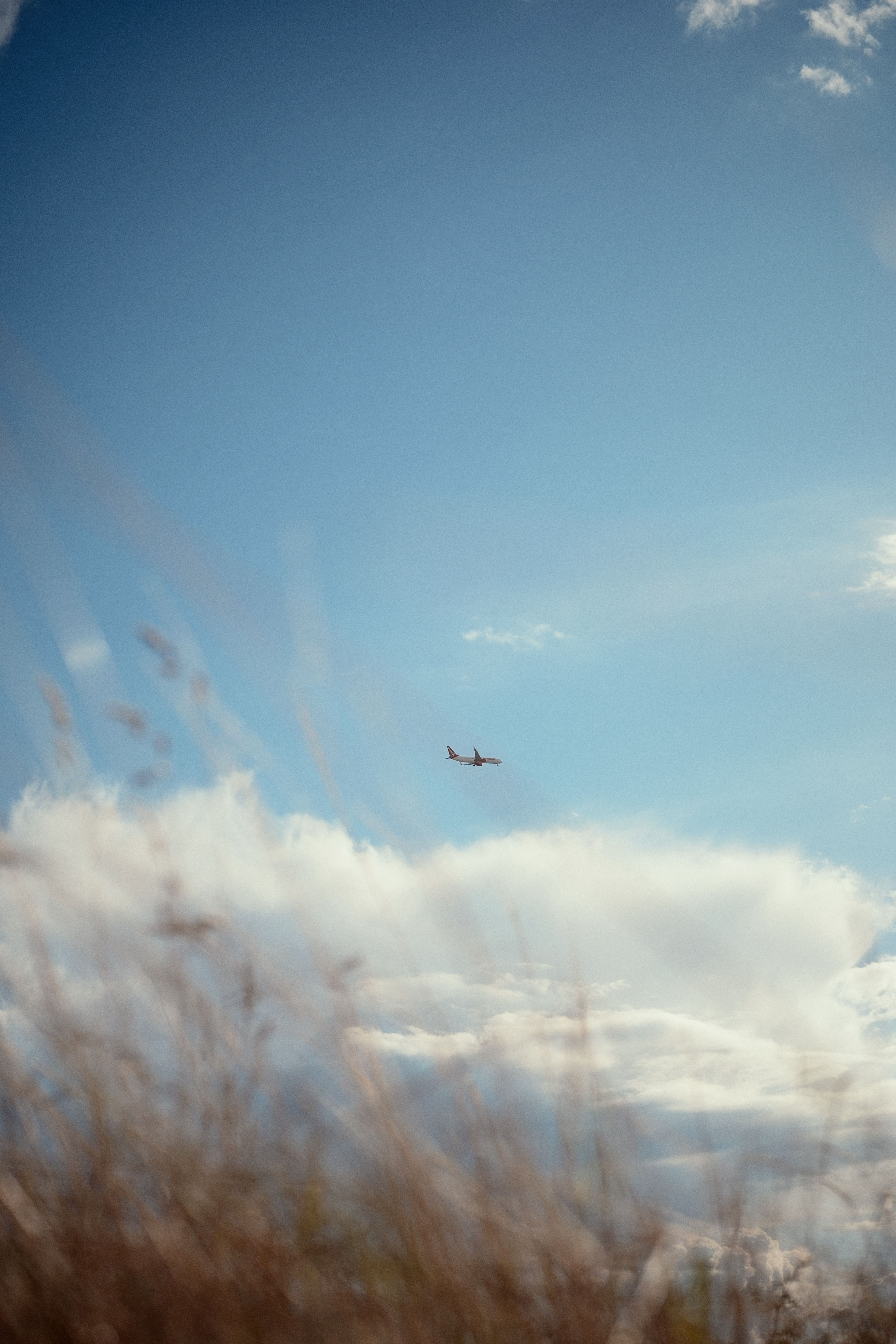 Airplane Flying in Clear Blue Sky Over Field · Free Stock Photo