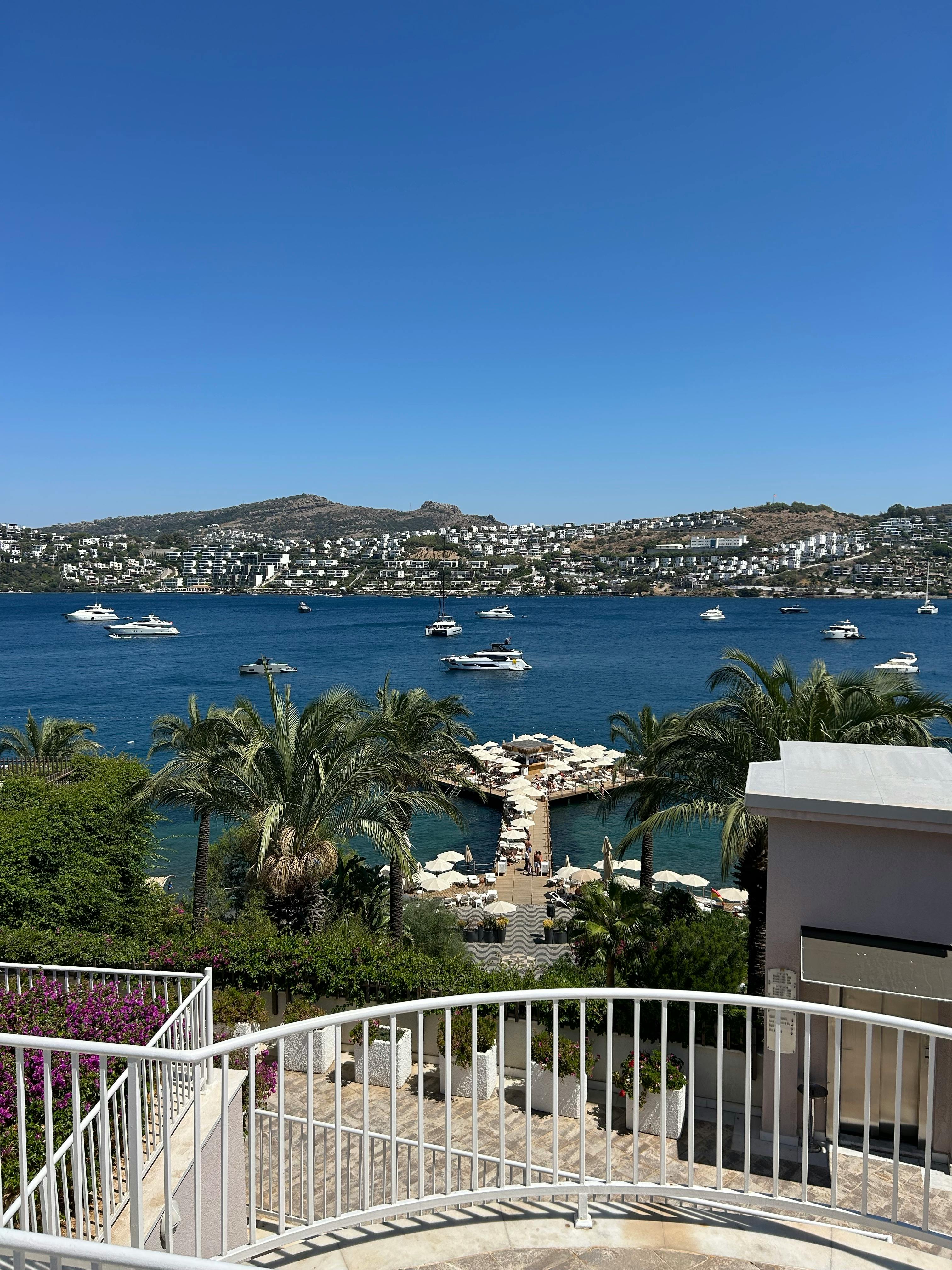 Beautiful Seaside View with Yachts and Palms · Free Stock Photo