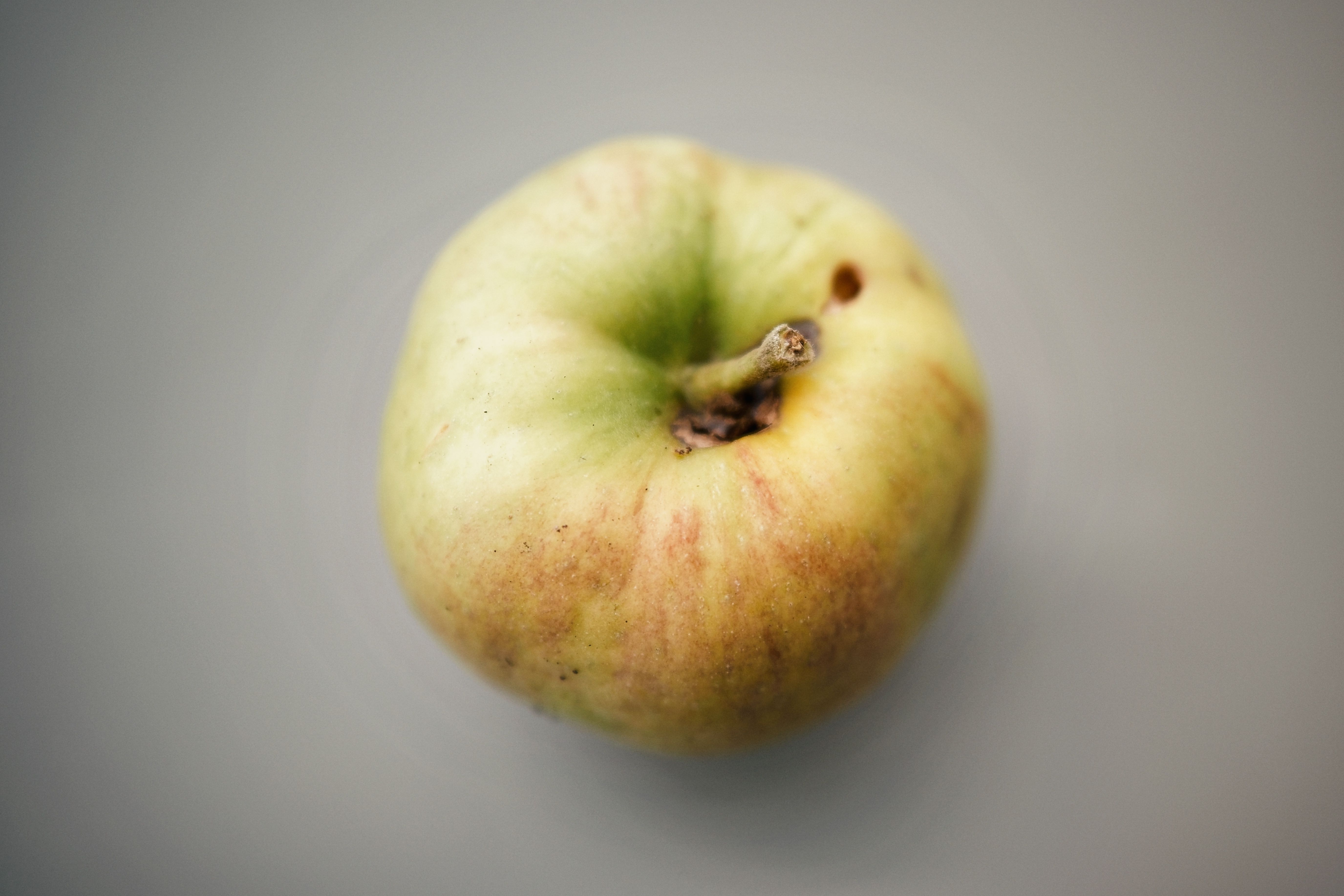 Singular Food Item Photos, Download The BEST Free Singular Food Item ...