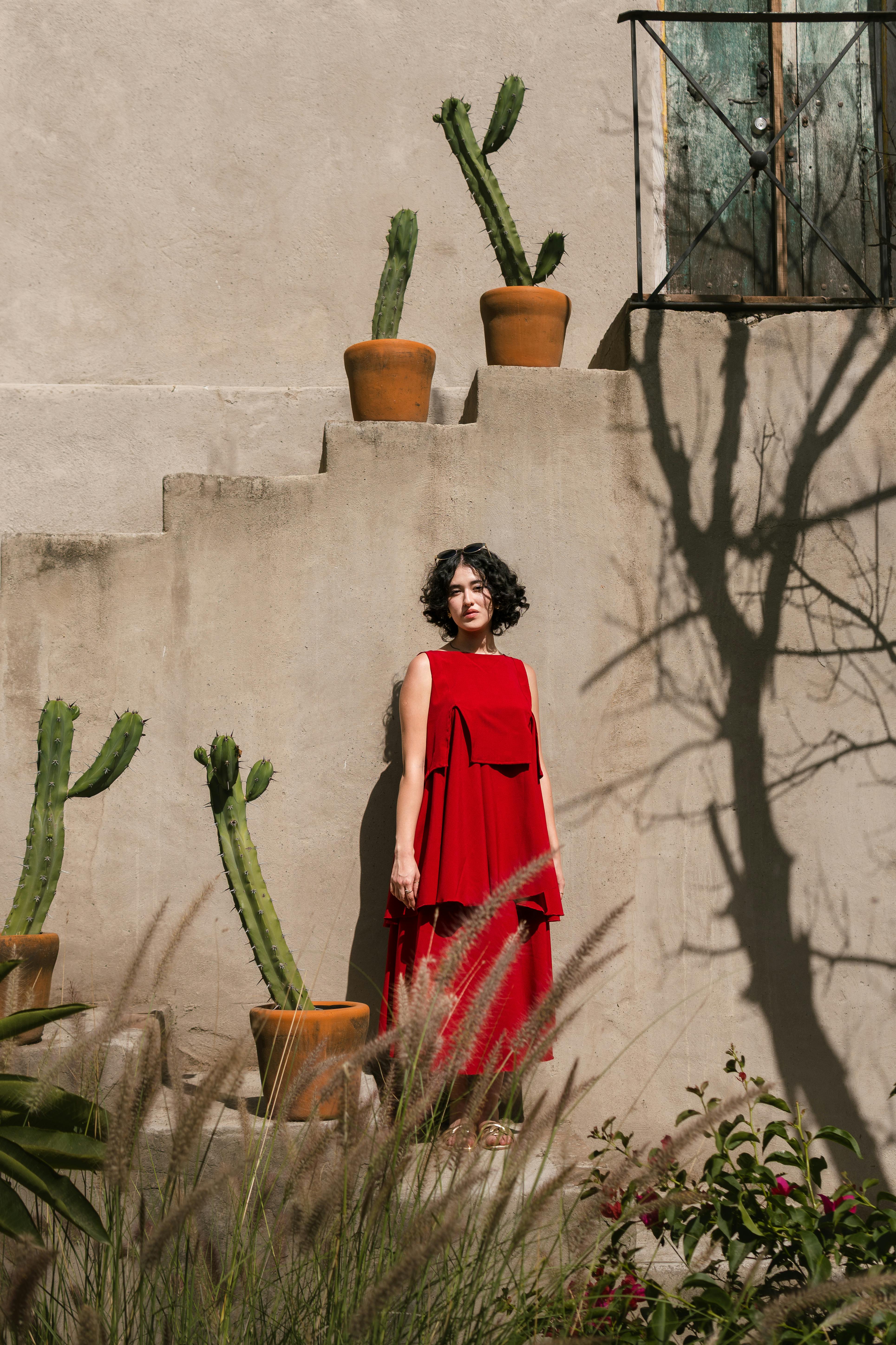 Mahavatar+Babaji+Photo Photos, Download The BEST Free Mahavatar+Babaji ...