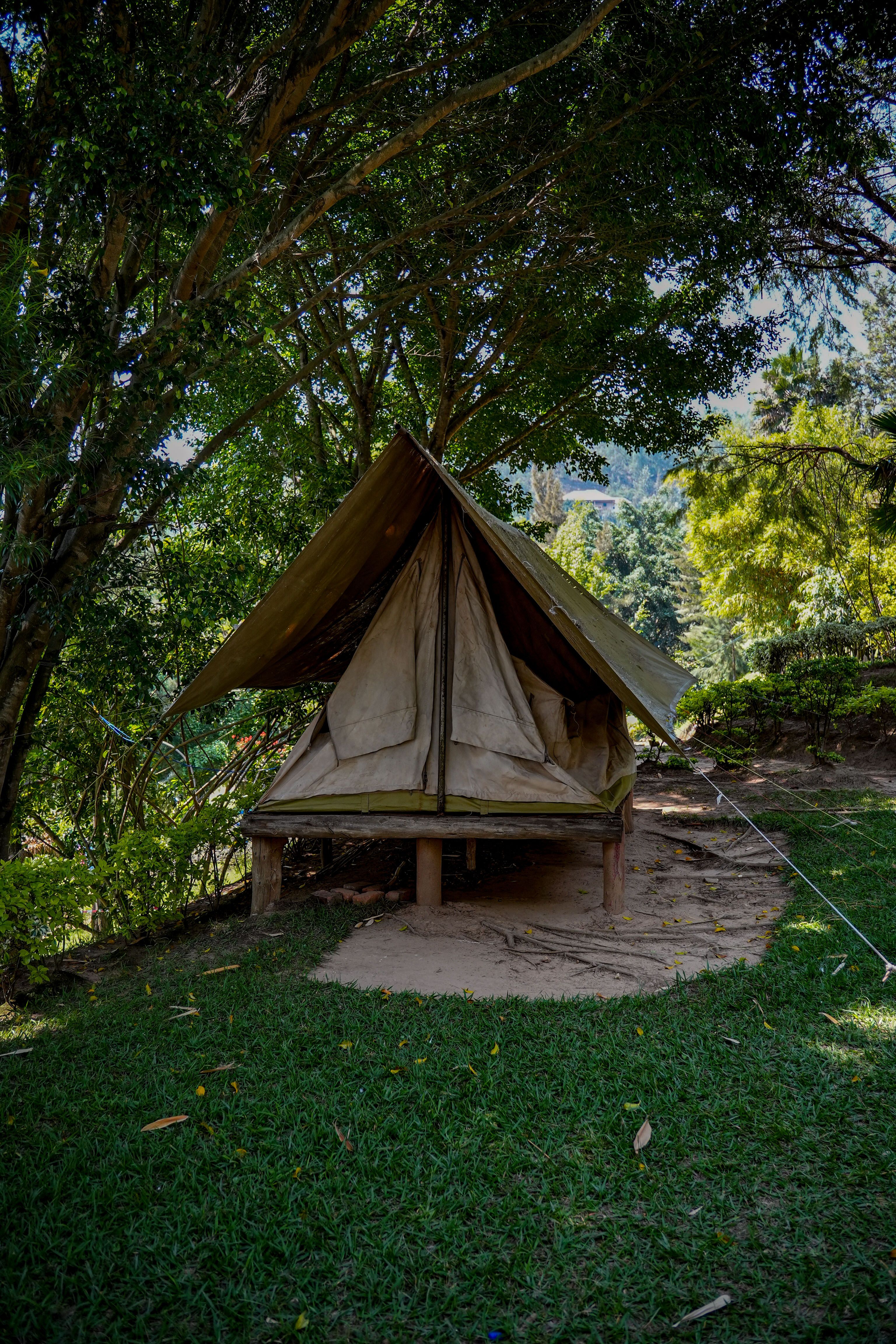 Rustic Tent in Forested Campground · Free Stock Photo