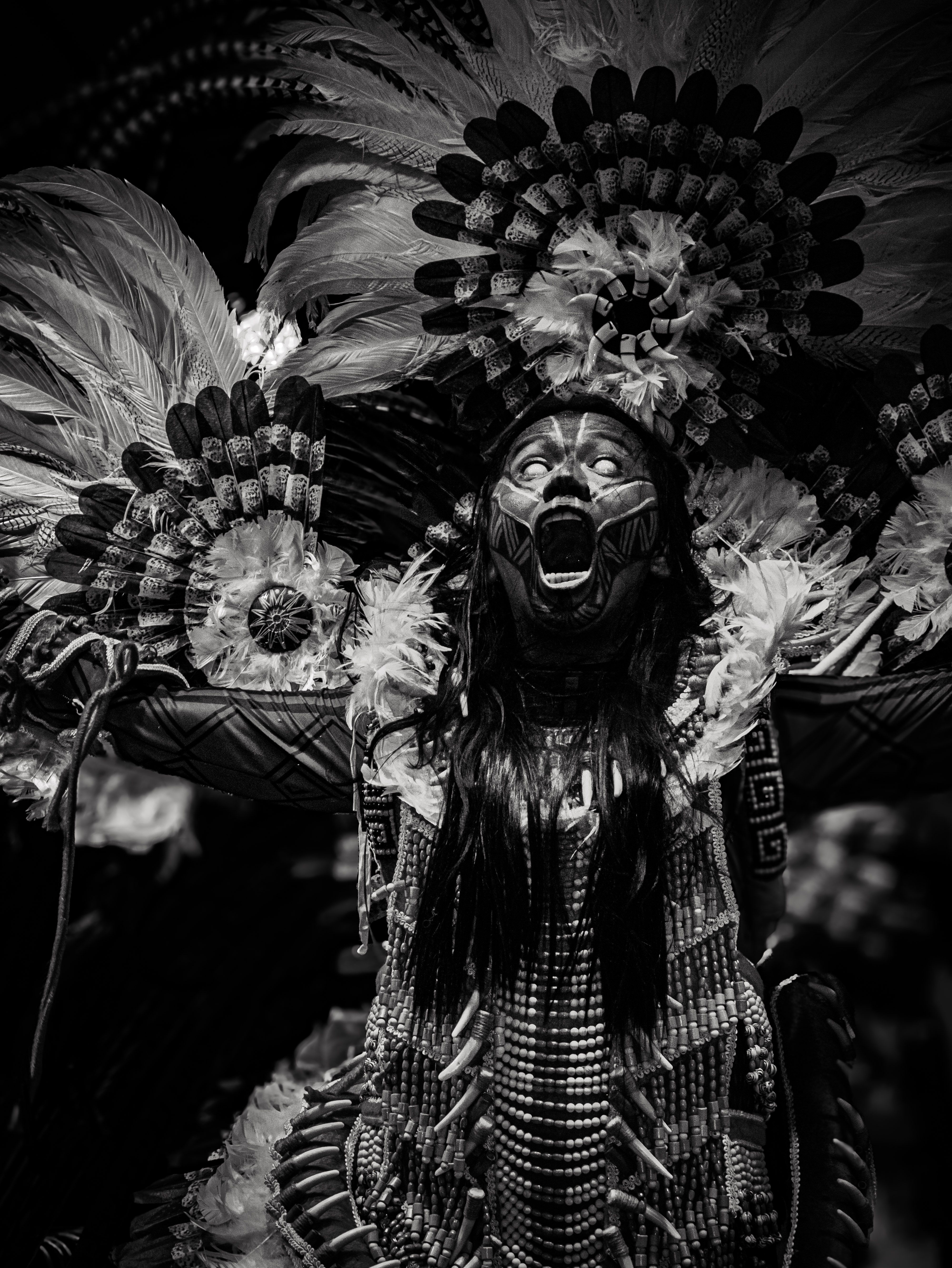 Dramatic Tribal Costume with Feathered Headdress · Free Stock Photo