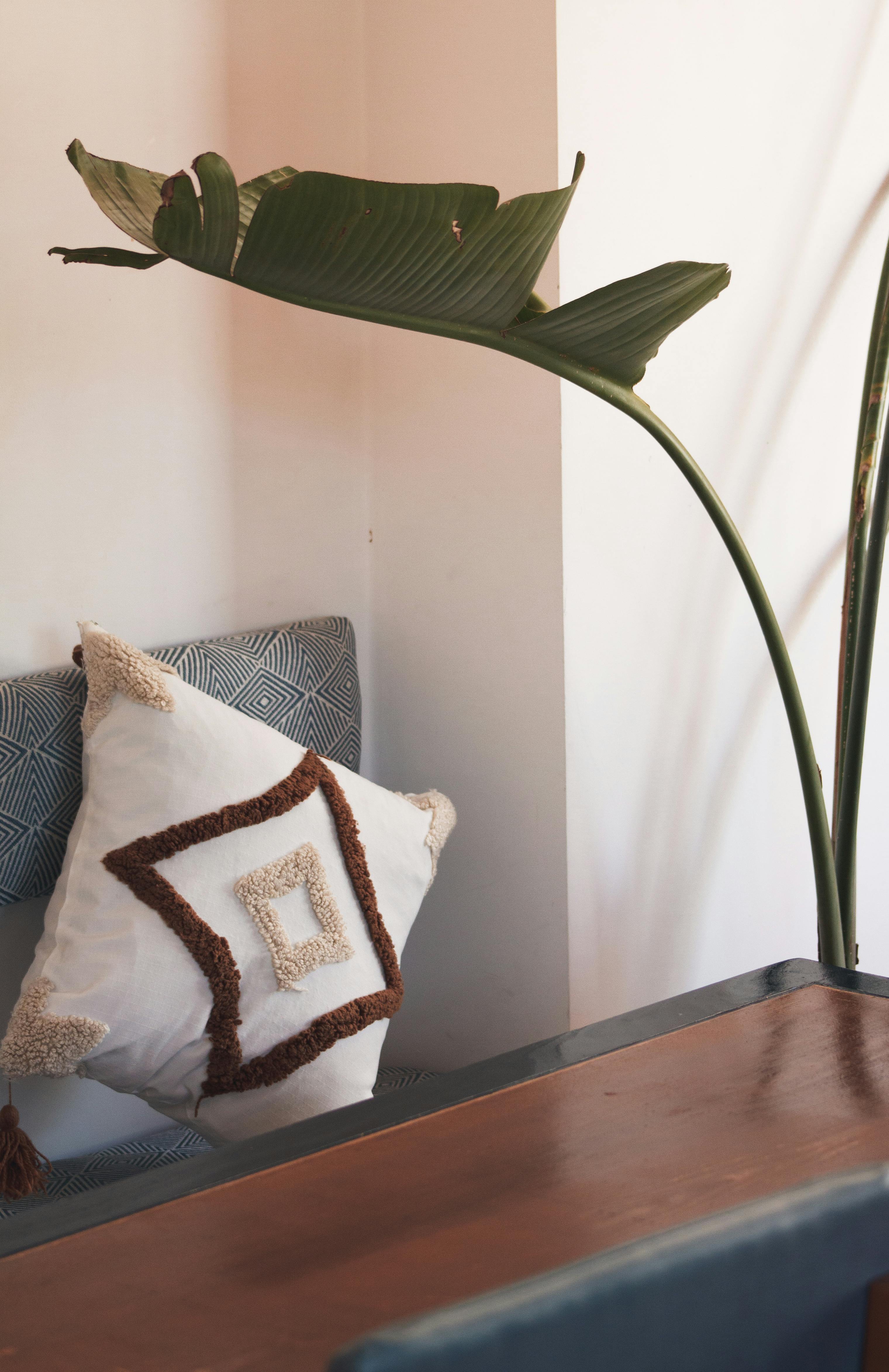 Coin Intérieur Cosy Avec Coussin Décoratif Et Plante · Photo gratuite