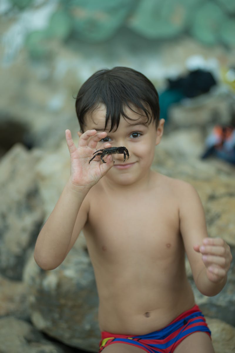 Cute+Pokies Photos, Download The BEST Free Cute+Pokies Stock Photos ...