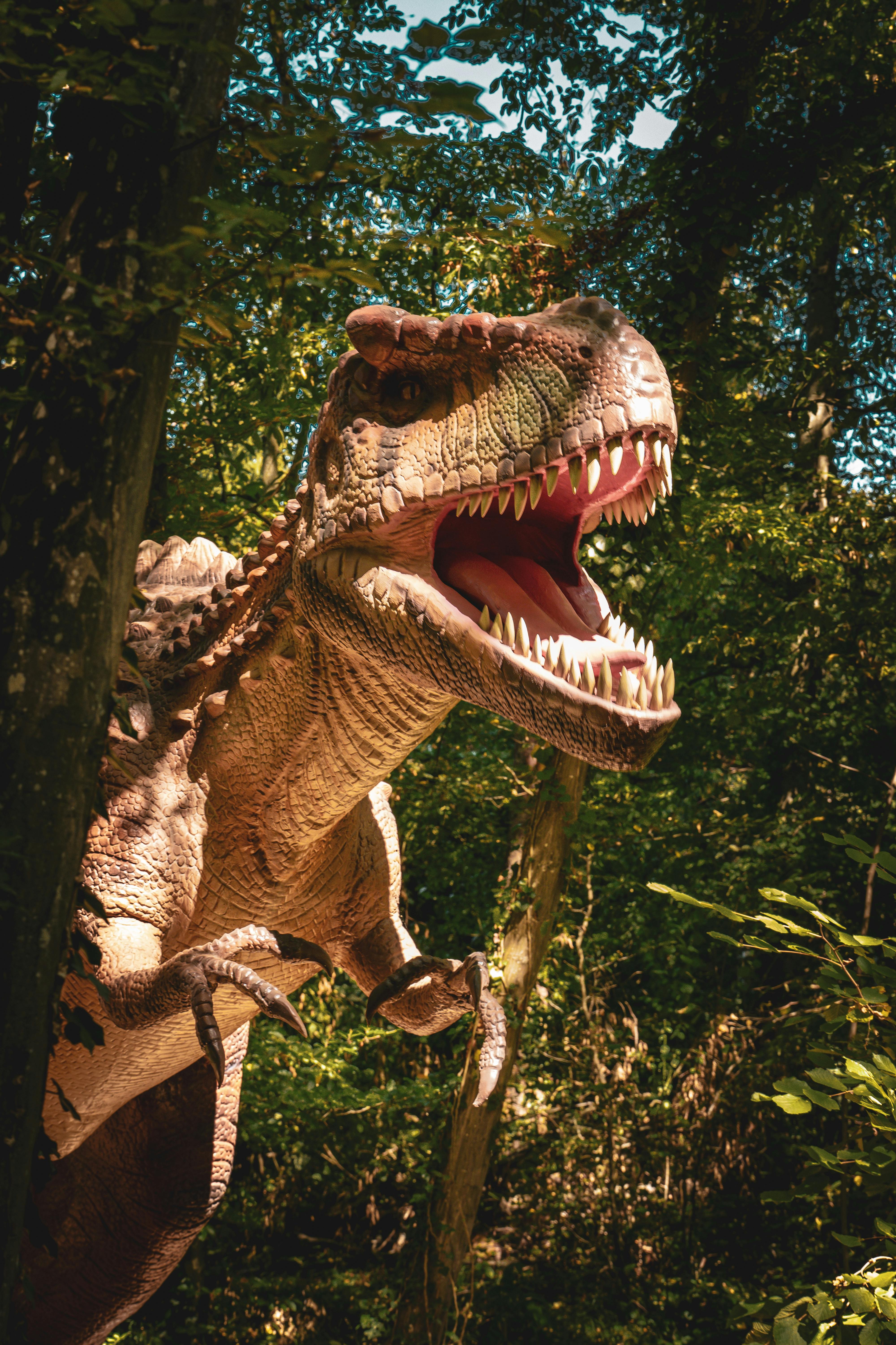 T Rex Dinosaur Photos, Download The BEST Free T Rex Dinosaur Stock ...