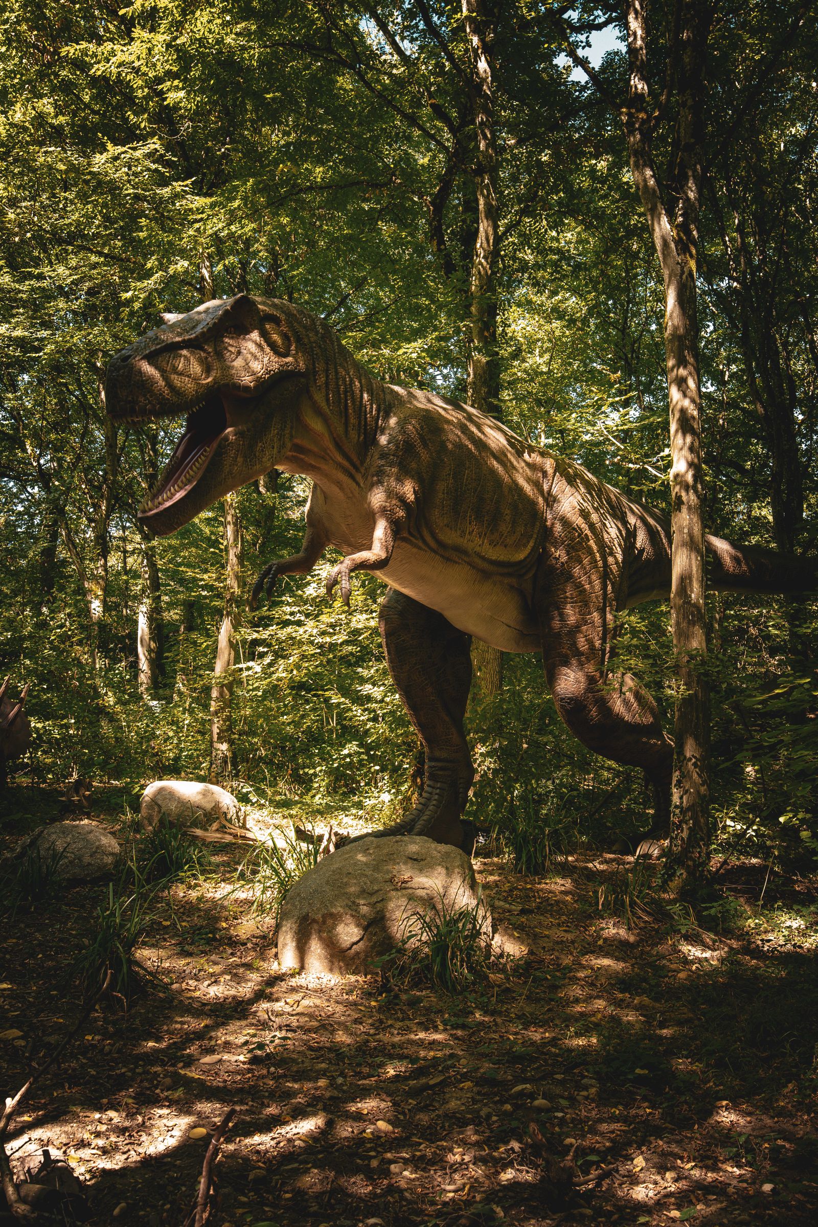 T Rex Dinosaur Photos, Download The BEST Free T Rex Dinosaur Stock ...