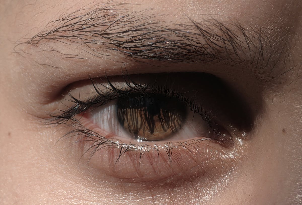 Human Intestine Anatomy Photos, Download The BEST Free Human Intestine ...