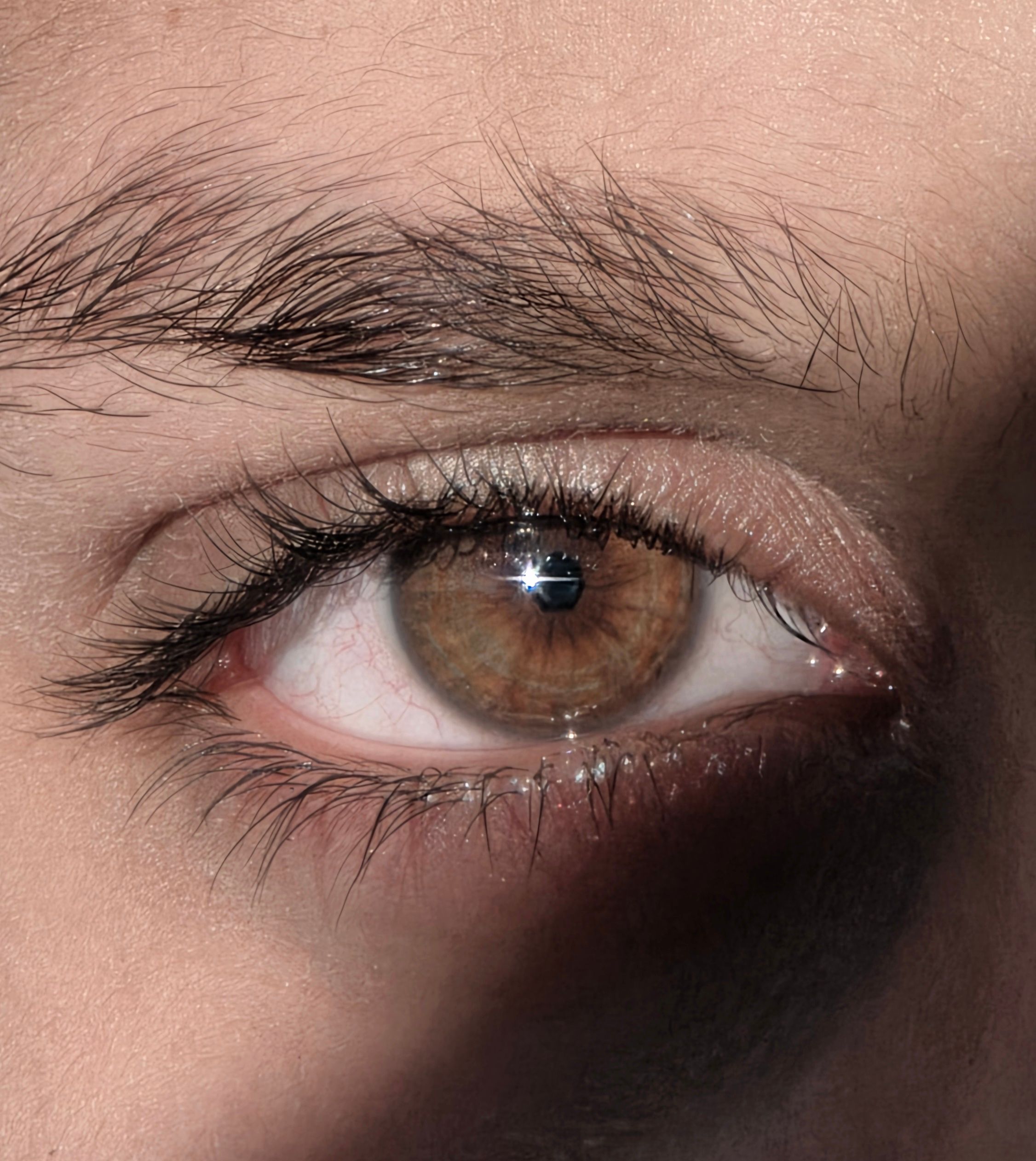 Eye Reference Photos, Download The BEST Free Eye Reference Stock Photos ...