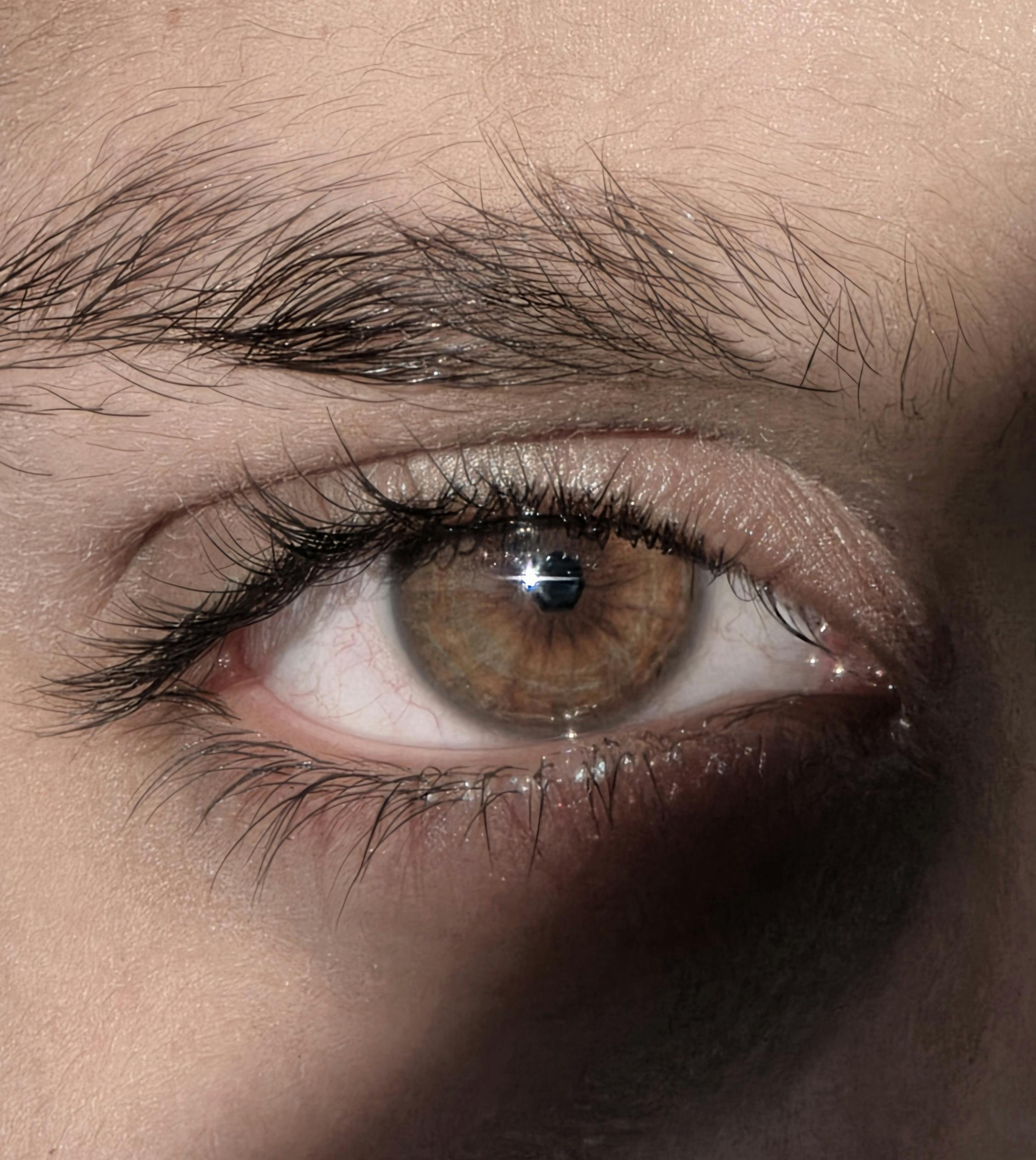 Pupil Photos, Download The BEST Free Pupil Stock Photos & HD Images