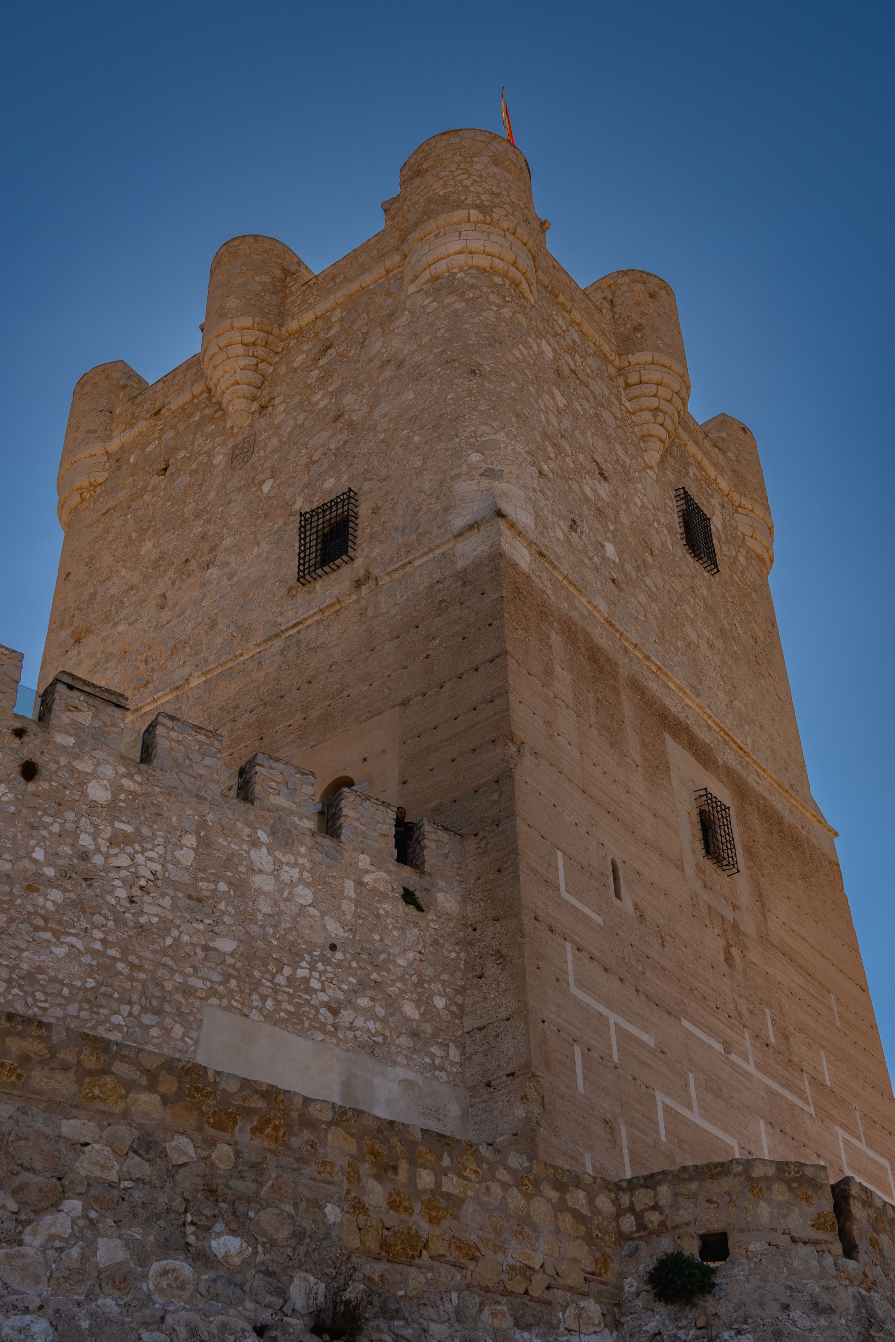 Reise Fruhe Photos, Download The BEST Free Reise Fruhe Stock Photos ...