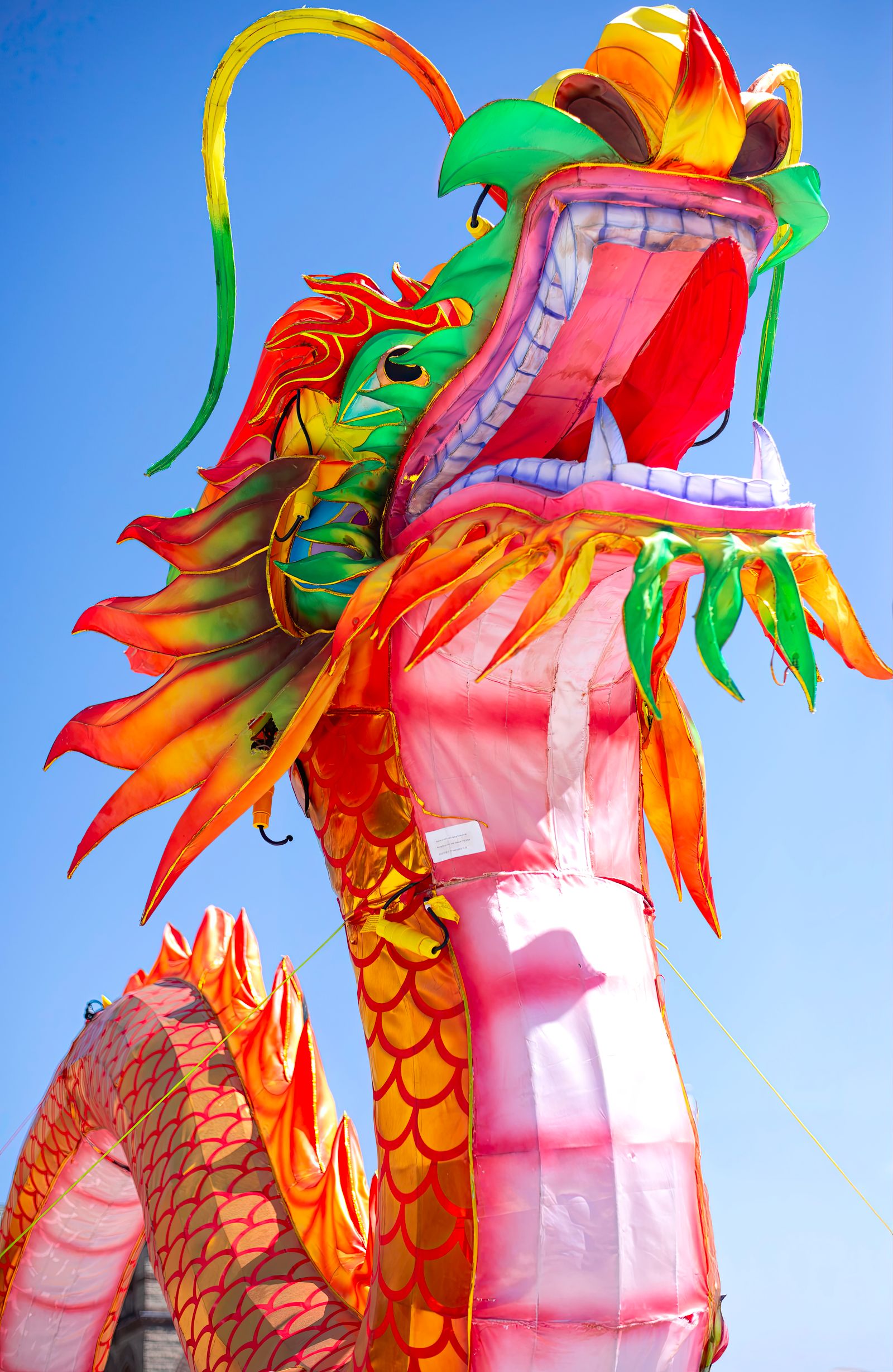 Kite Images Photos, Download The BEST Free Kite Images Stock Photos ...