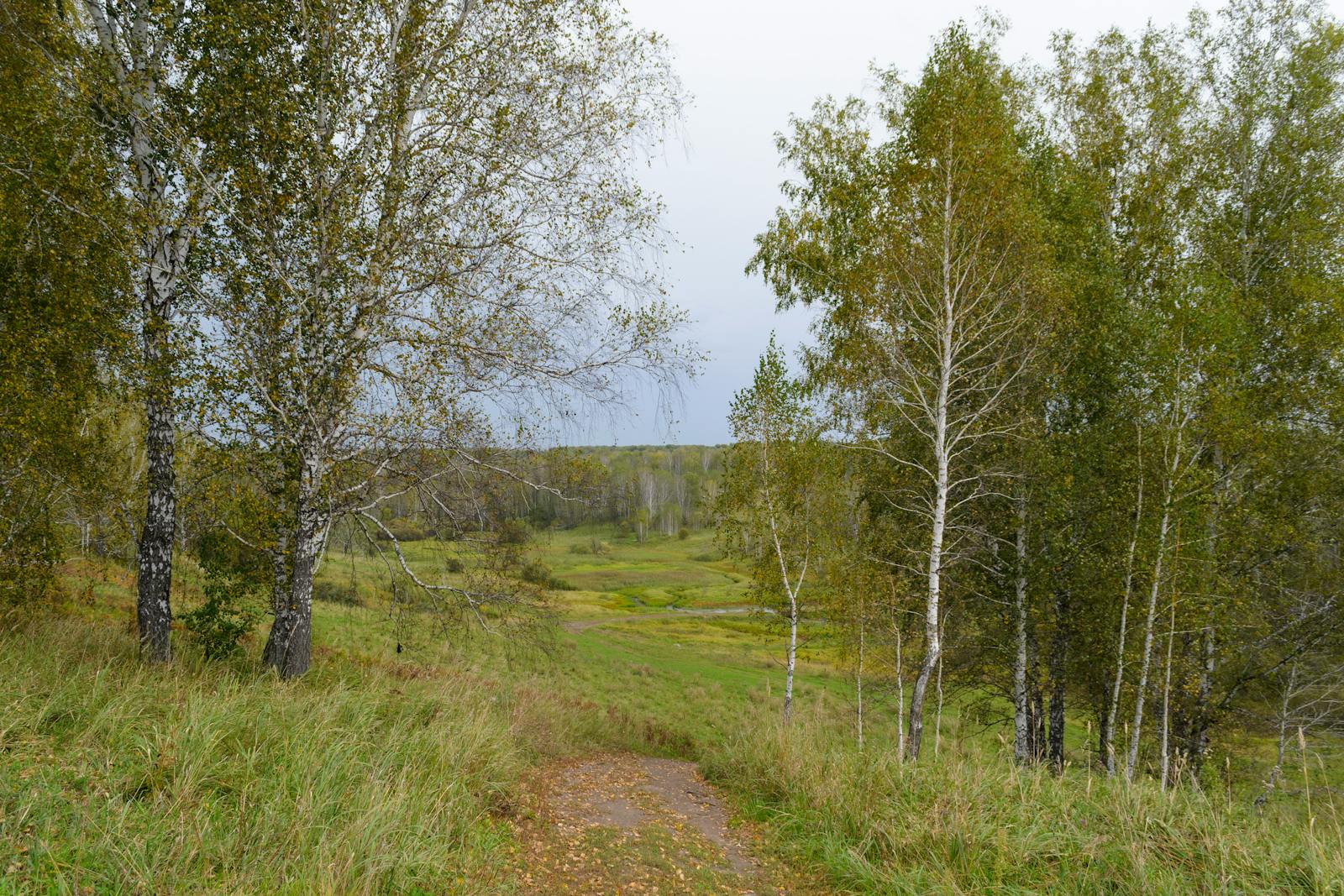 Free Pick Photos, Download The BEST Free Free Pick Stock Photos & HD Images