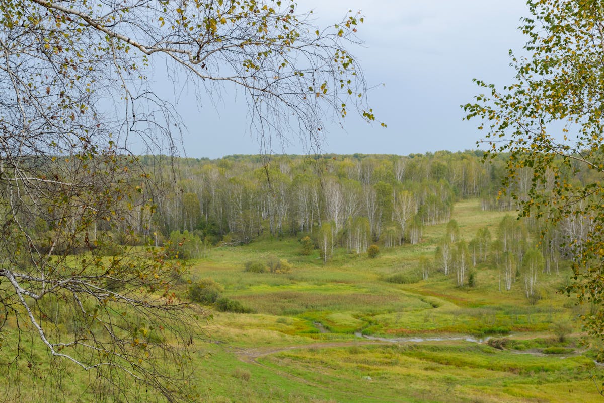 Free Pick Photos, Download The BEST Free Free Pick Stock Photos & HD Images