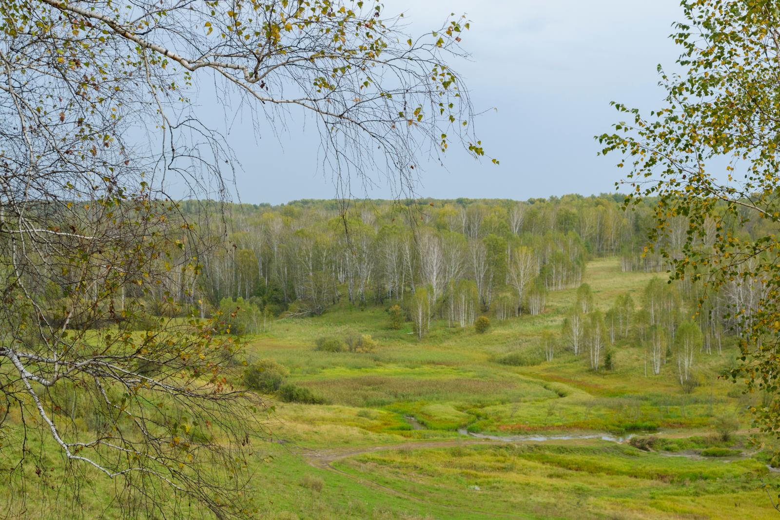 Free Pick Photos, Download The BEST Free Free Pick Stock Photos & HD Images